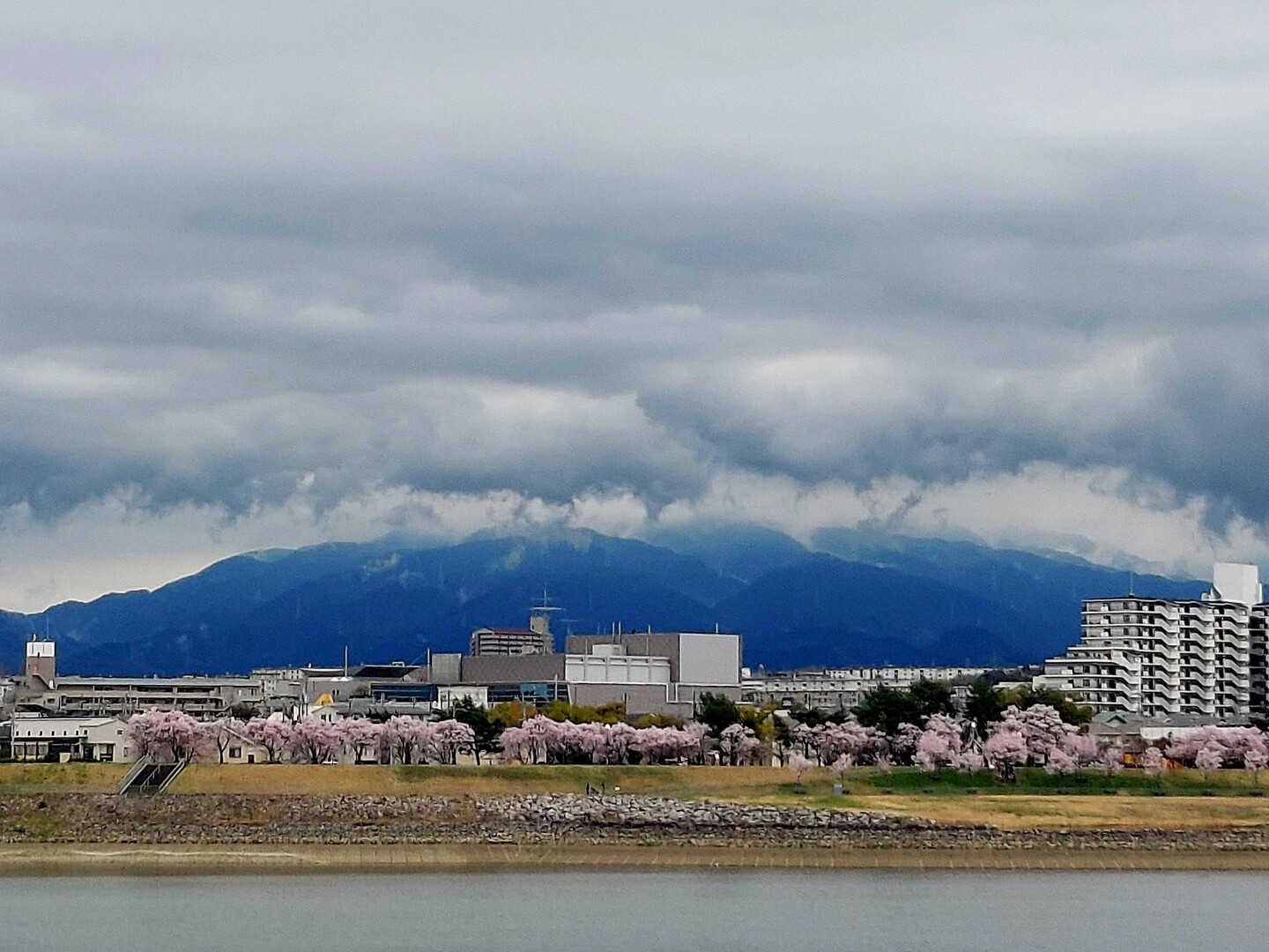 狭山池RUN🌸 / ree-koさんのランニングの活動データ | YAMAP / ヤマップ