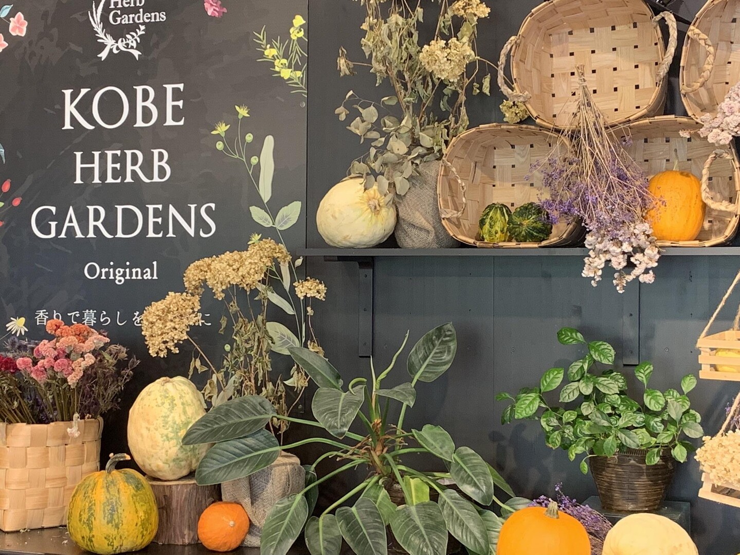 市ケ原→布引ハーブ園 / wind⛰さんの六甲山・長峰山・摩耶山の活動データ | YAMAP / ヤマップ