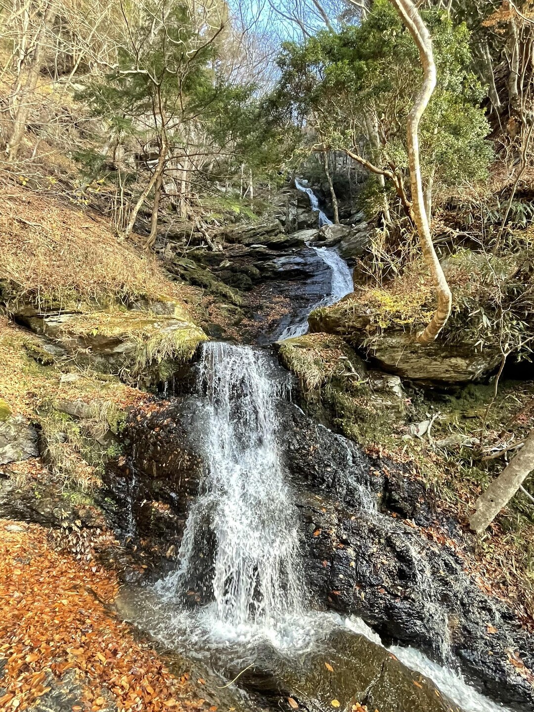 ハンシ山・伊勢辻山・赤ゾレ山・木梶山 / ナッティさんの桧塚奥峰・明神岳・薊岳の活動データ | YAMAP / ヤマップ