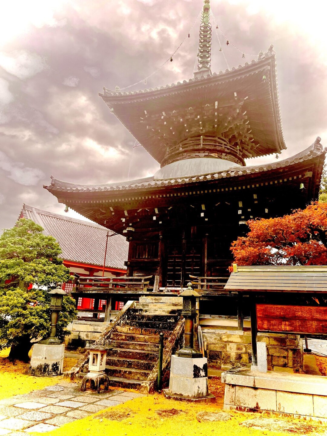 信仰の道…熊野古道🏞中辺路🌅攻略開始‼️ / ほの＆ひろ&BPさんの熊野古道 中辺路①（紀伊田辺駅〜熊野本宮大社）の活動日記 | YAMAP / ヤマップ