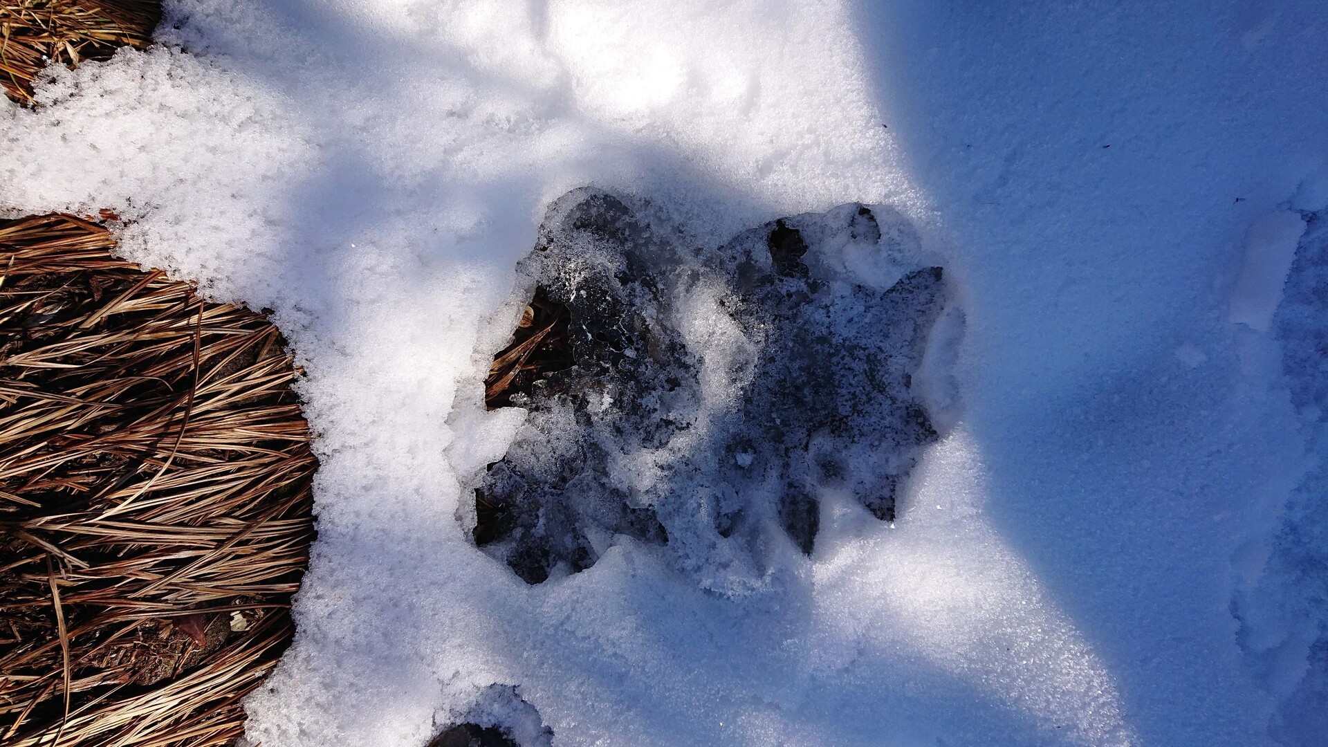 赤兎山-2022-11-18 / Housaさんの赤兎山・猪鼻山の活動日記 | YAMAP / ヤマップ