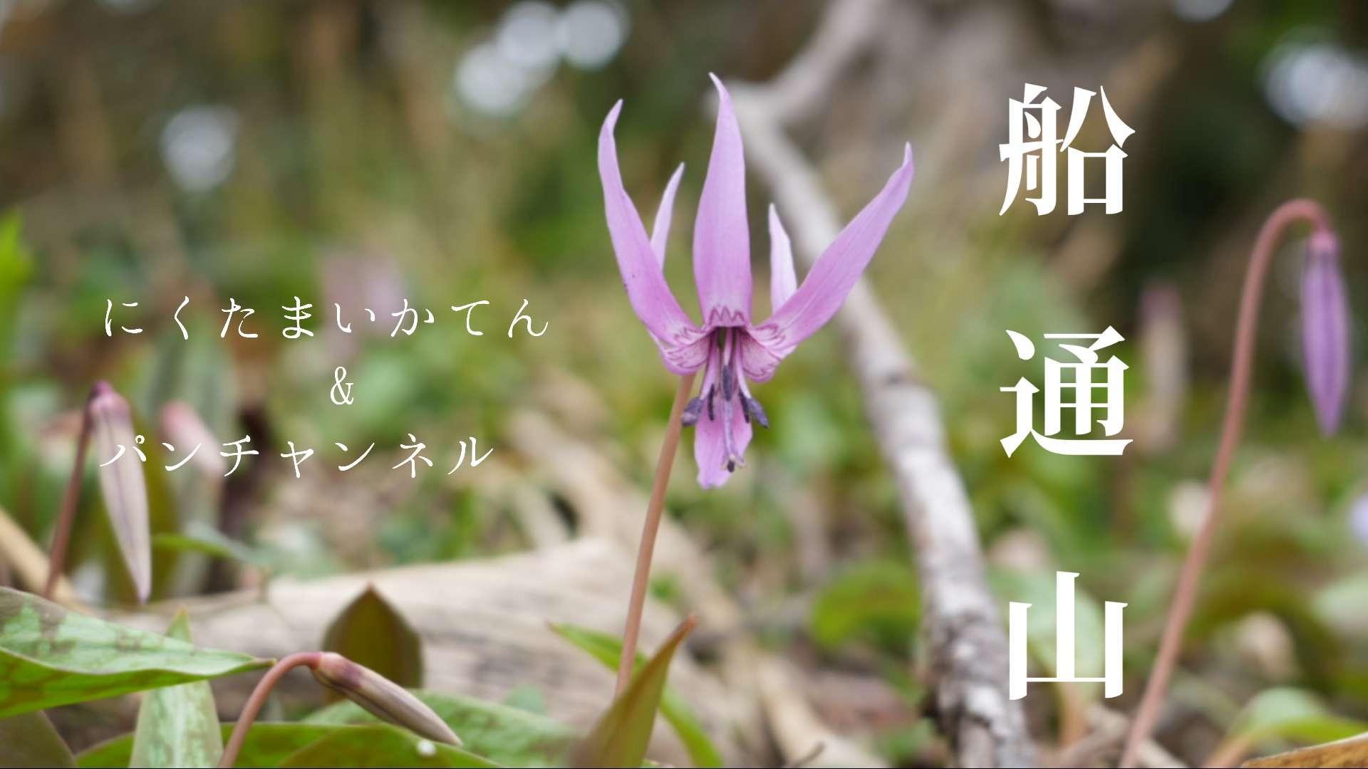 【YouTube】 https://yo... / 6Kのパンチョさんのモーメント | YAMAP / ヤマップ