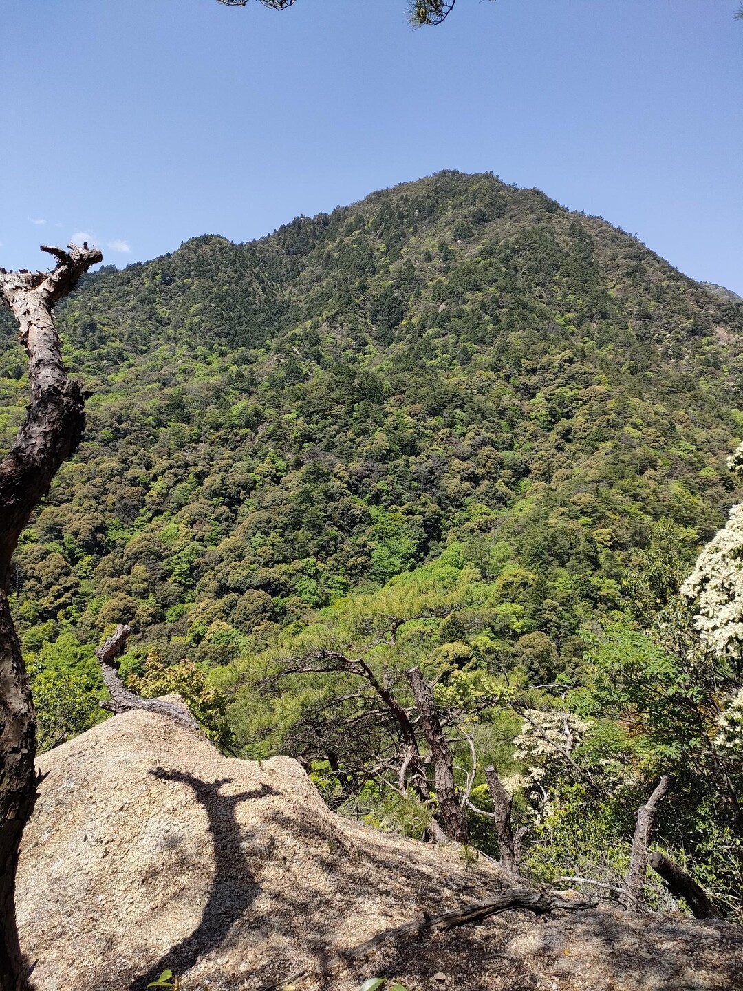 koiさんの投稿したフィールドメモ | YAMAP / ヤマップ