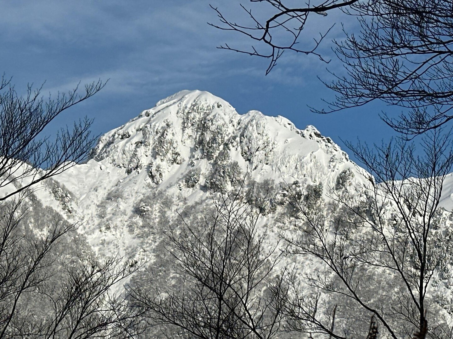 冠山(ラッセル敗退) / yyさんの冠山・金草岳の活動データ | YAMAP / ヤマップ