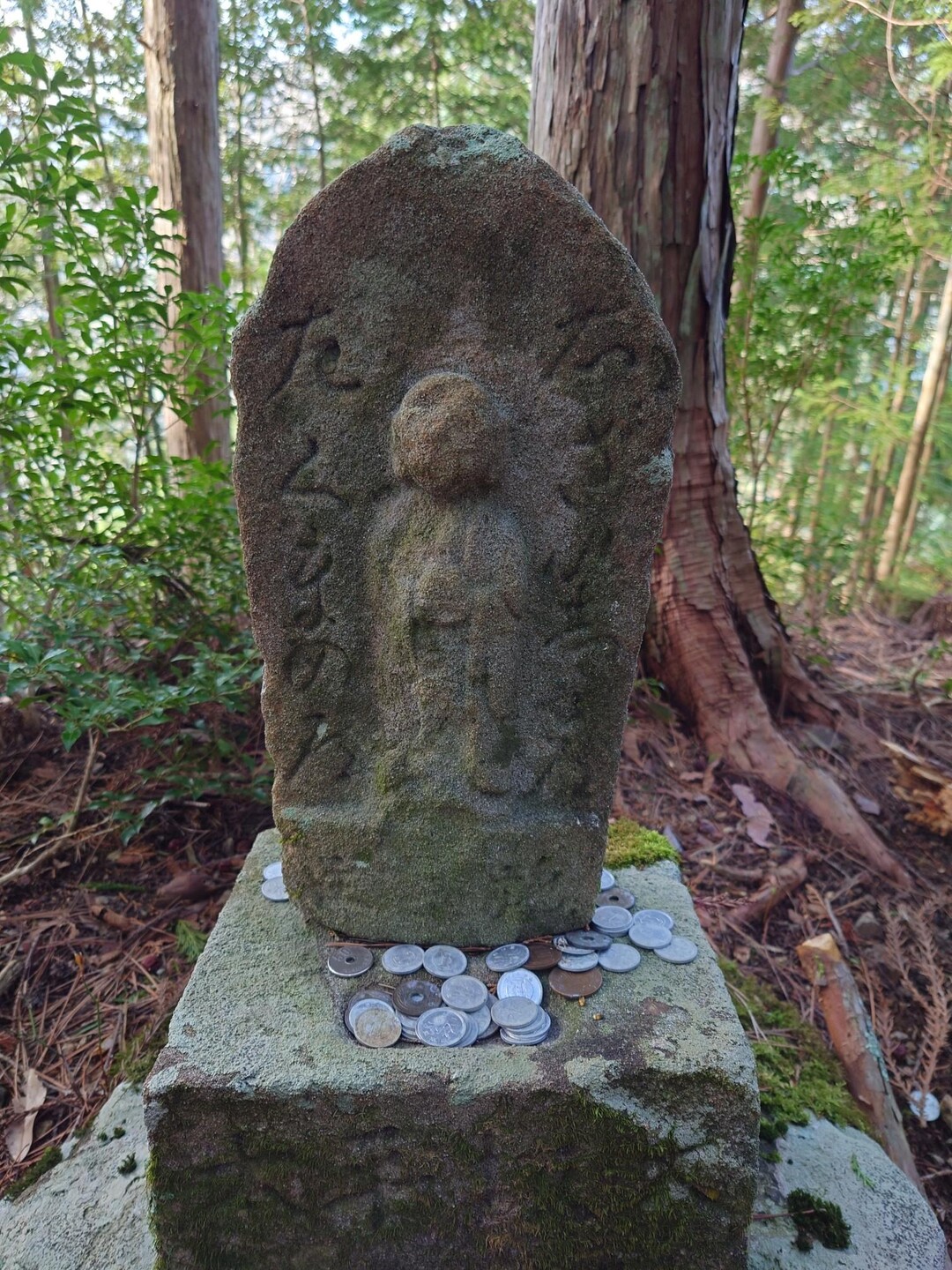 熊野古道小辺路縦走三日目〜三田谷から大股へ〜 / kamoさんの熊野古道 小辺路の活動データ | YAMAP / ヤマップ