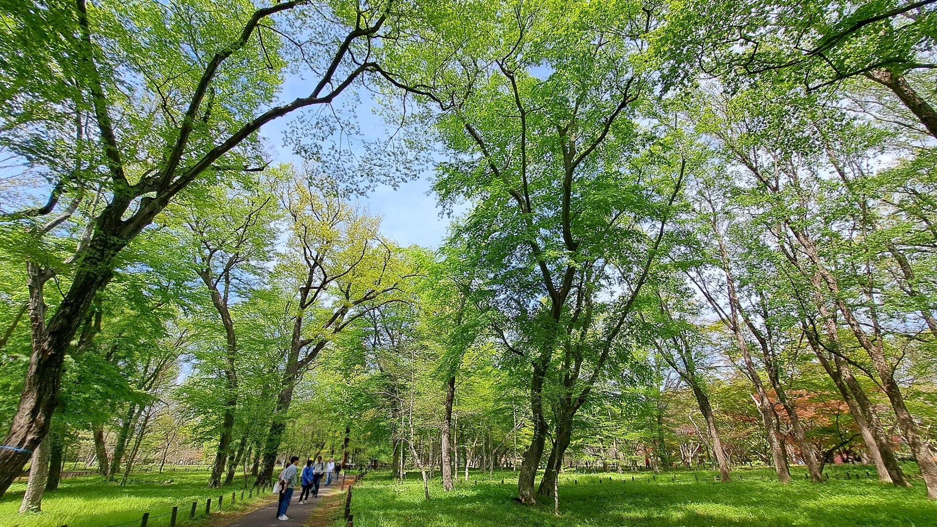 神代植物公園で散歩。 / el28さんのモーメント | YAMAP / ヤマップ