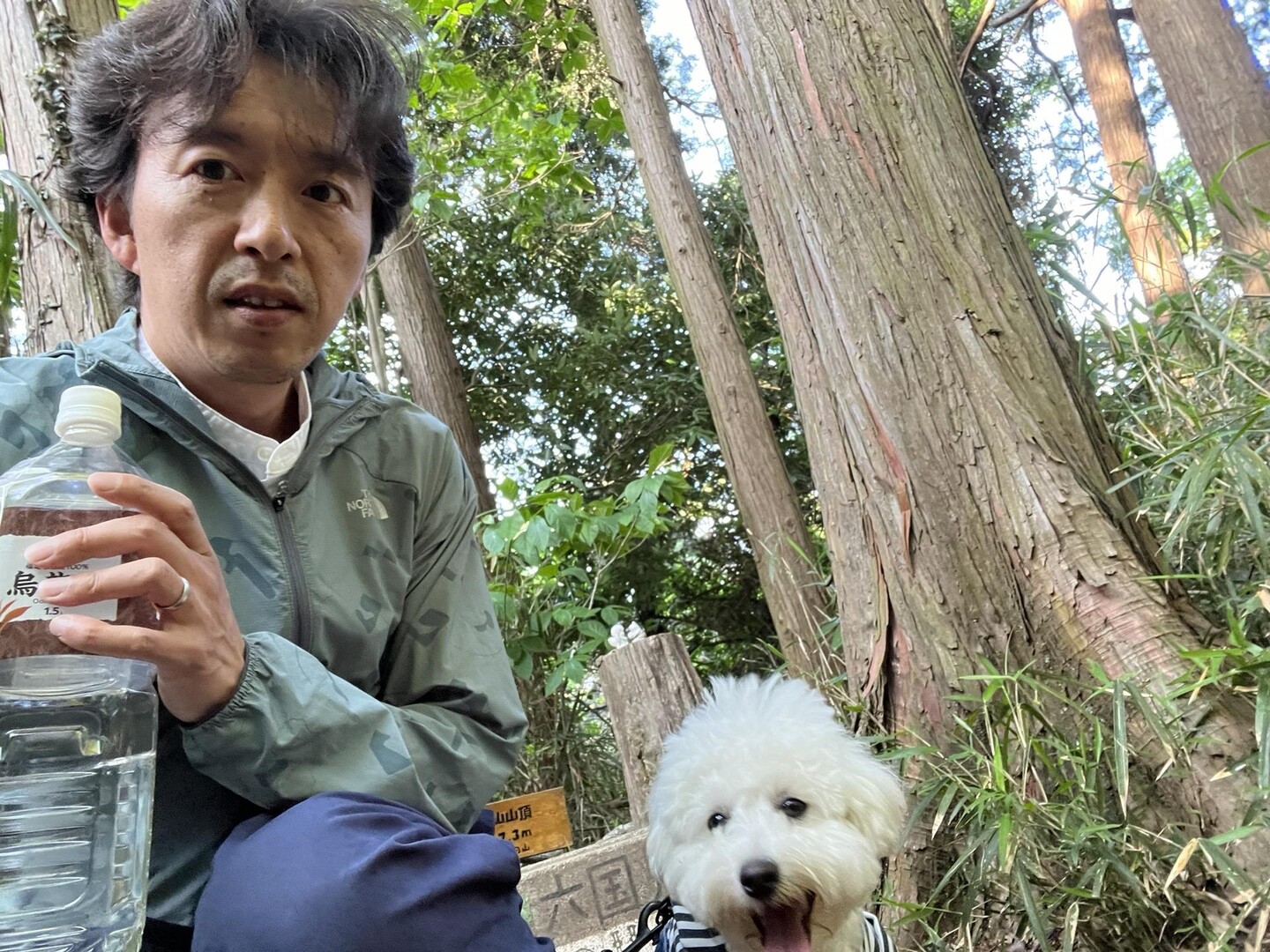 鎌倉アルプス 六国見山 / Hassyさんの鎌倉アルプス（大平山・天台山）の活動データ | YAMAP / ヤマップ