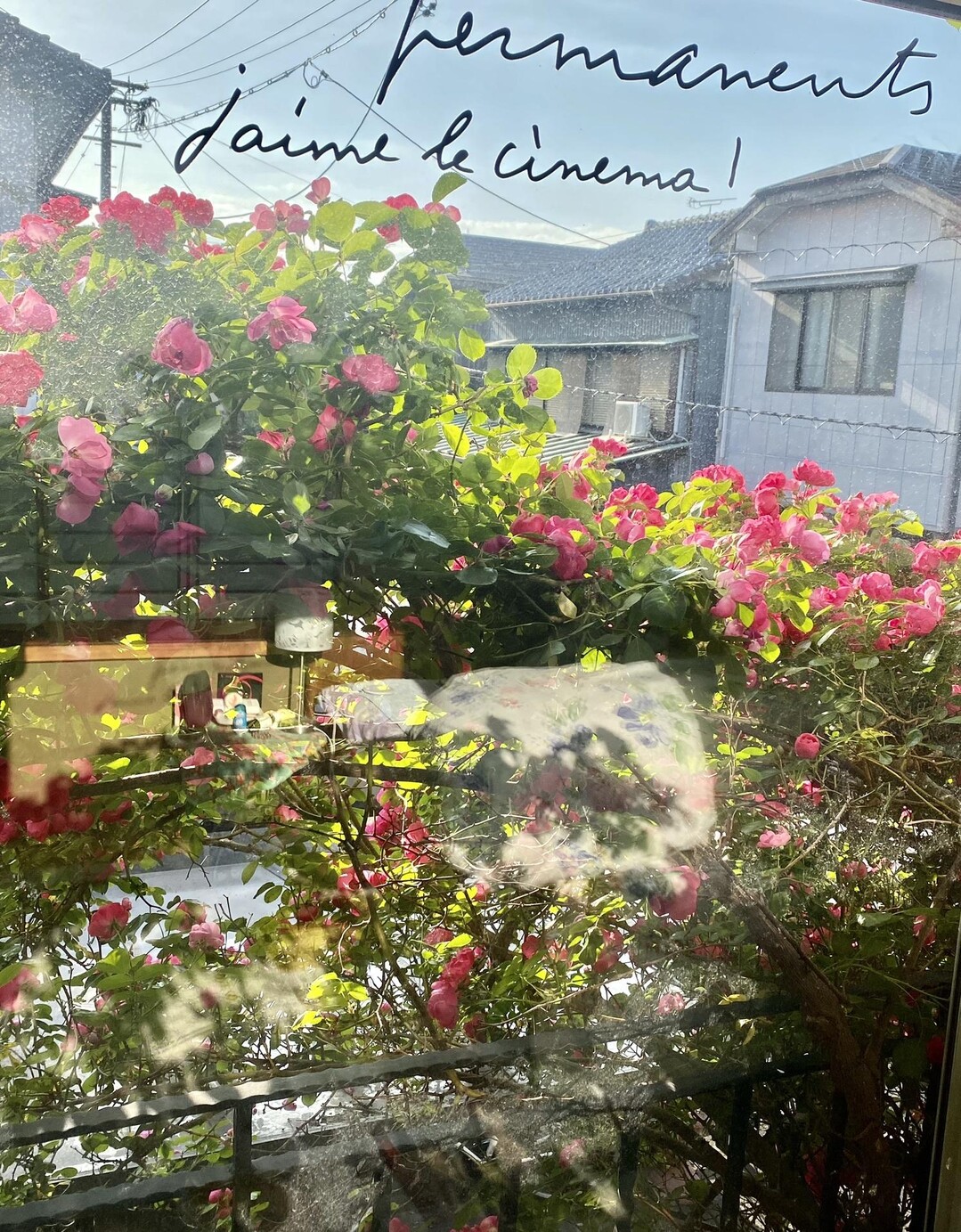 Good morning 🌹 みなさま... / SHOKOさんのモーメント | YAMAP / ヤマップ