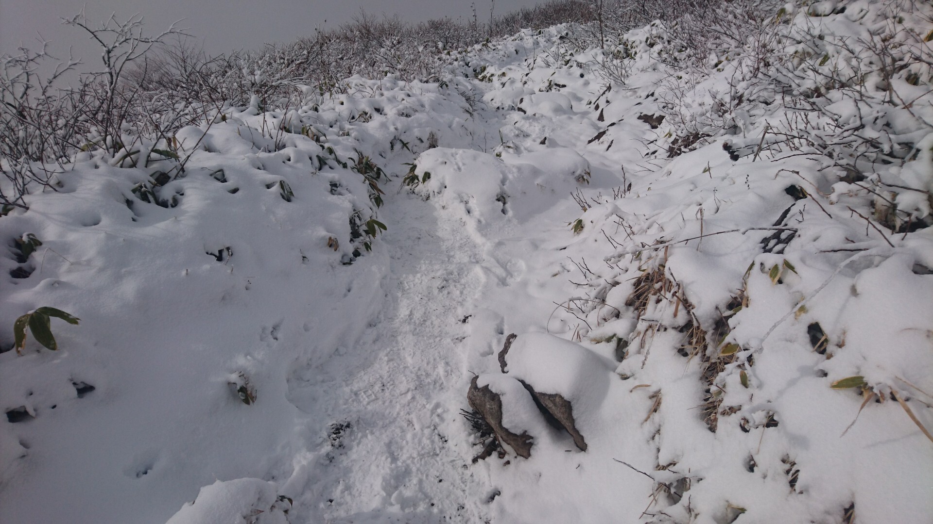 Paulさんの投稿したフィールドメモ | YAMAP / ヤマップ