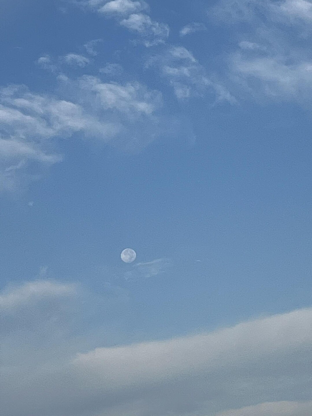 R5.2023.10.1(日) 10月に... / ngs2kyt福犬🦮🦮🦮さんのモーメント | YAMAP / ヤマップ