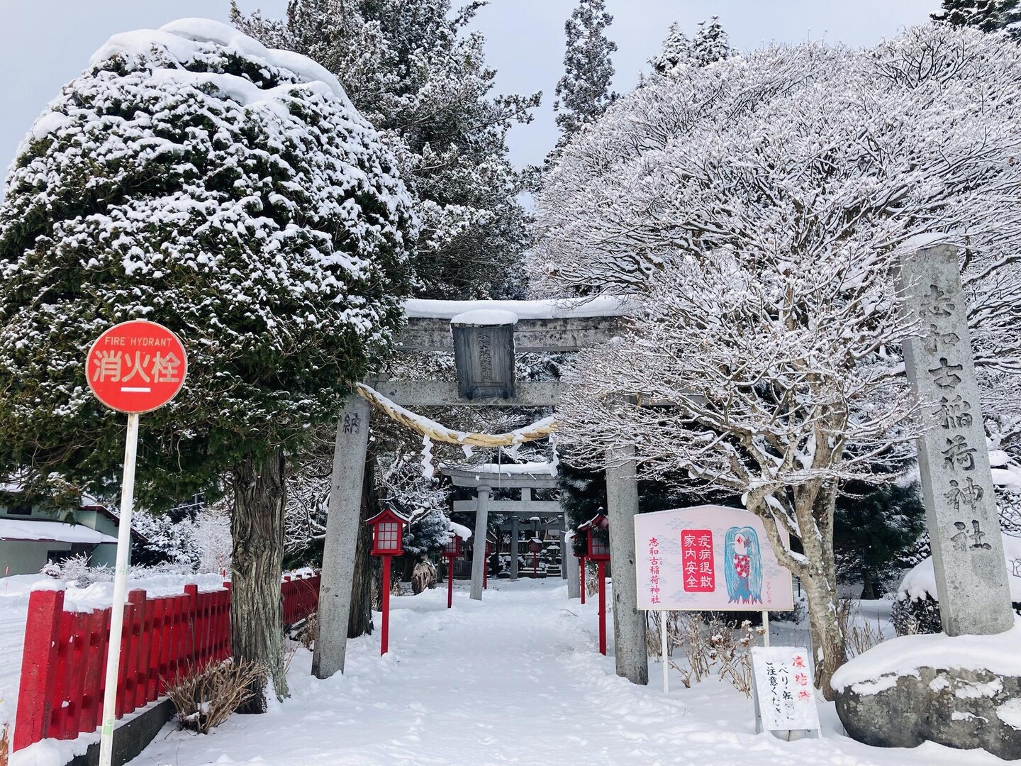 雪の東根山チャレンジをしようと思っていた... / 青藍さんのモーメント | YAMAP / ヤマップ