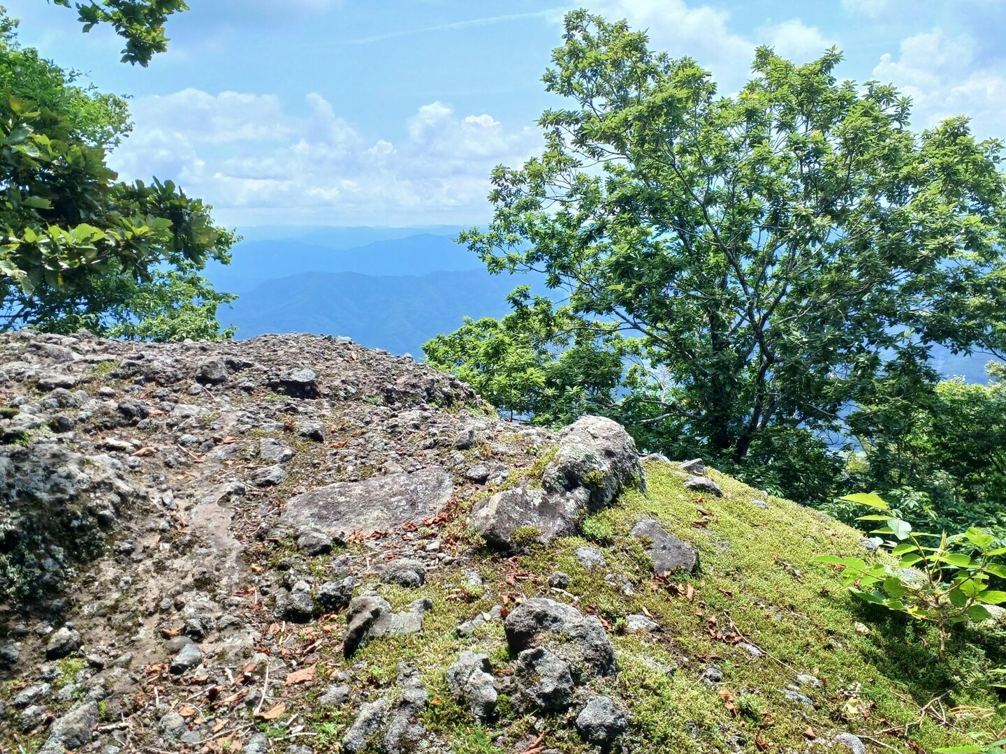 青葉山（東峰） / simodaさんの青葉山の活動データ | YAMAP / ヤマップ
