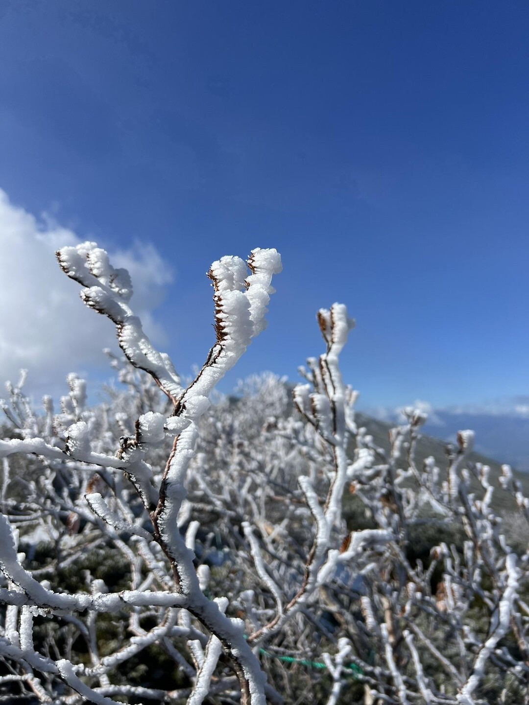 金峰山に行ってきた / リーチさんの瑞牆山・金峰山の活動データ | YAMAP / ヤマップ
