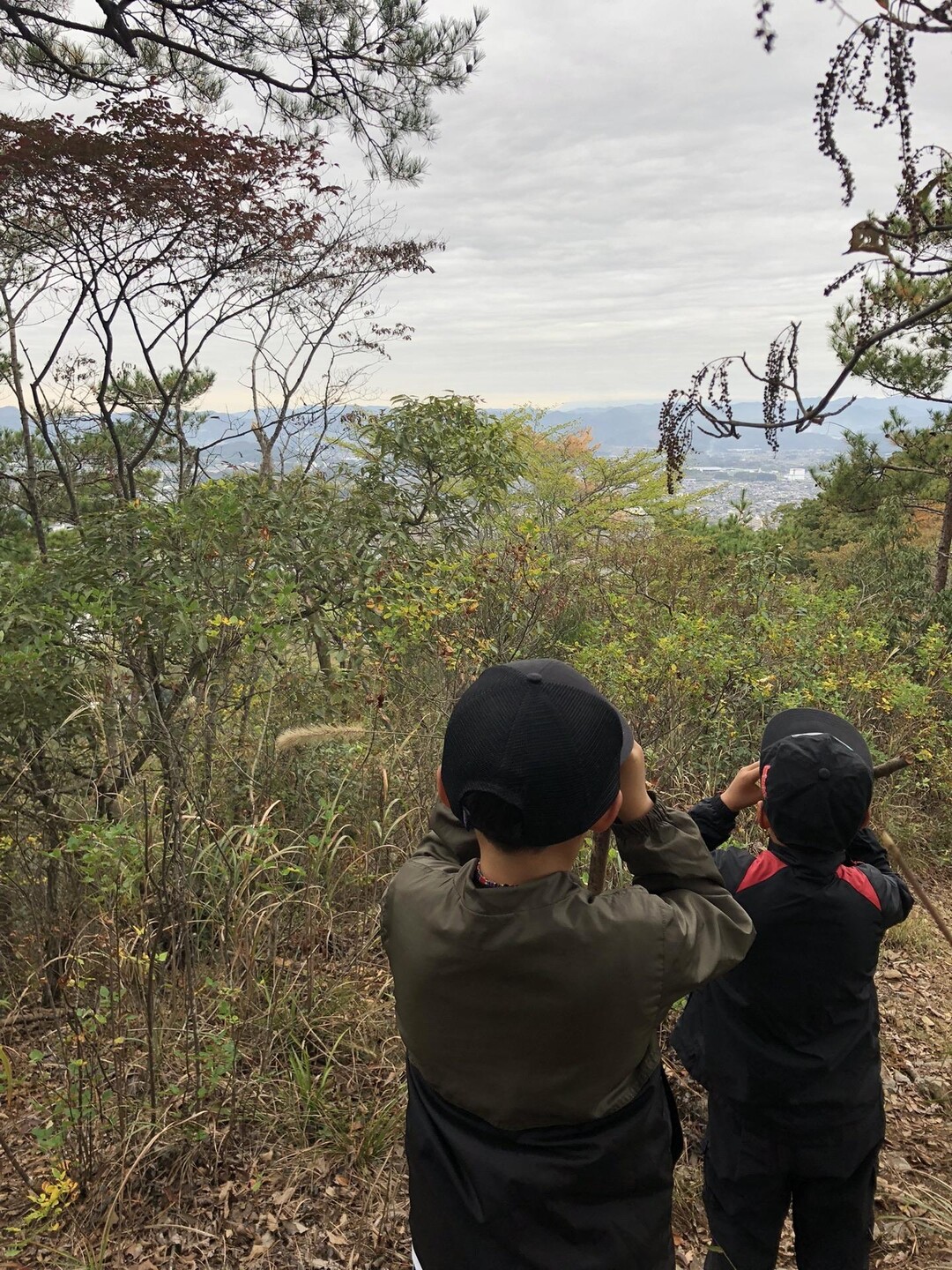 岡崎山・飯守山・権現堂・唐沢山 / eriさんの大鳥屋山・岳ノ山の活動データ | YAMAP / ヤマップ