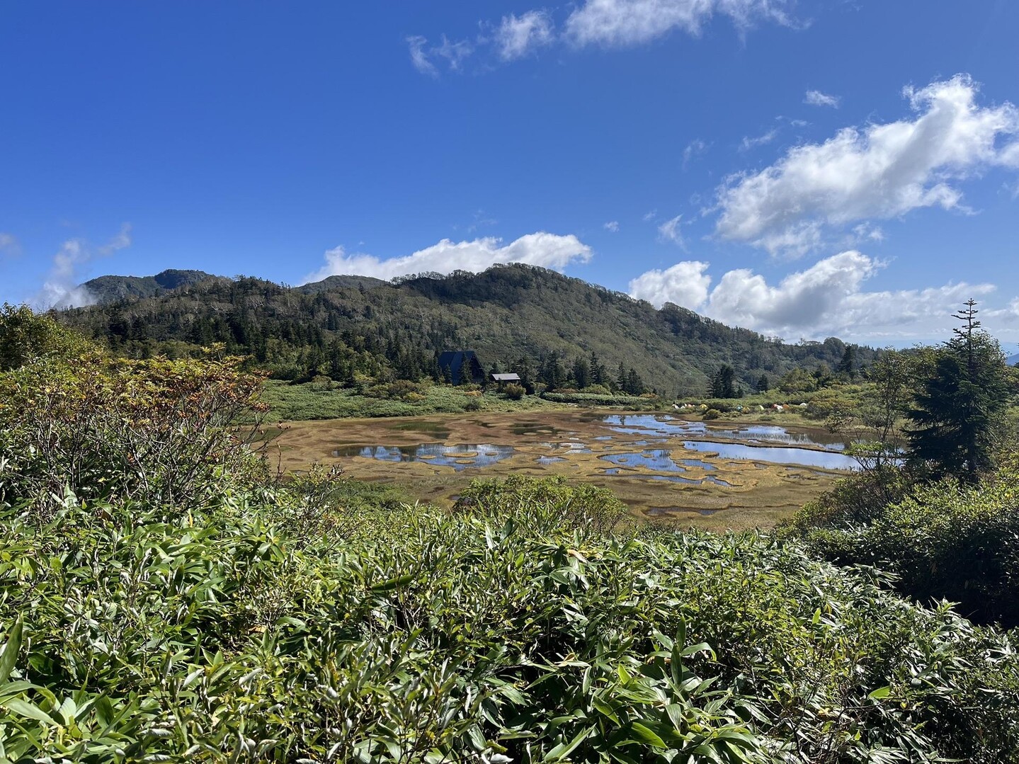 火打山・妙高山 / 妙高山・火打山の写真101枚目 | YAMAP / ヤマップ