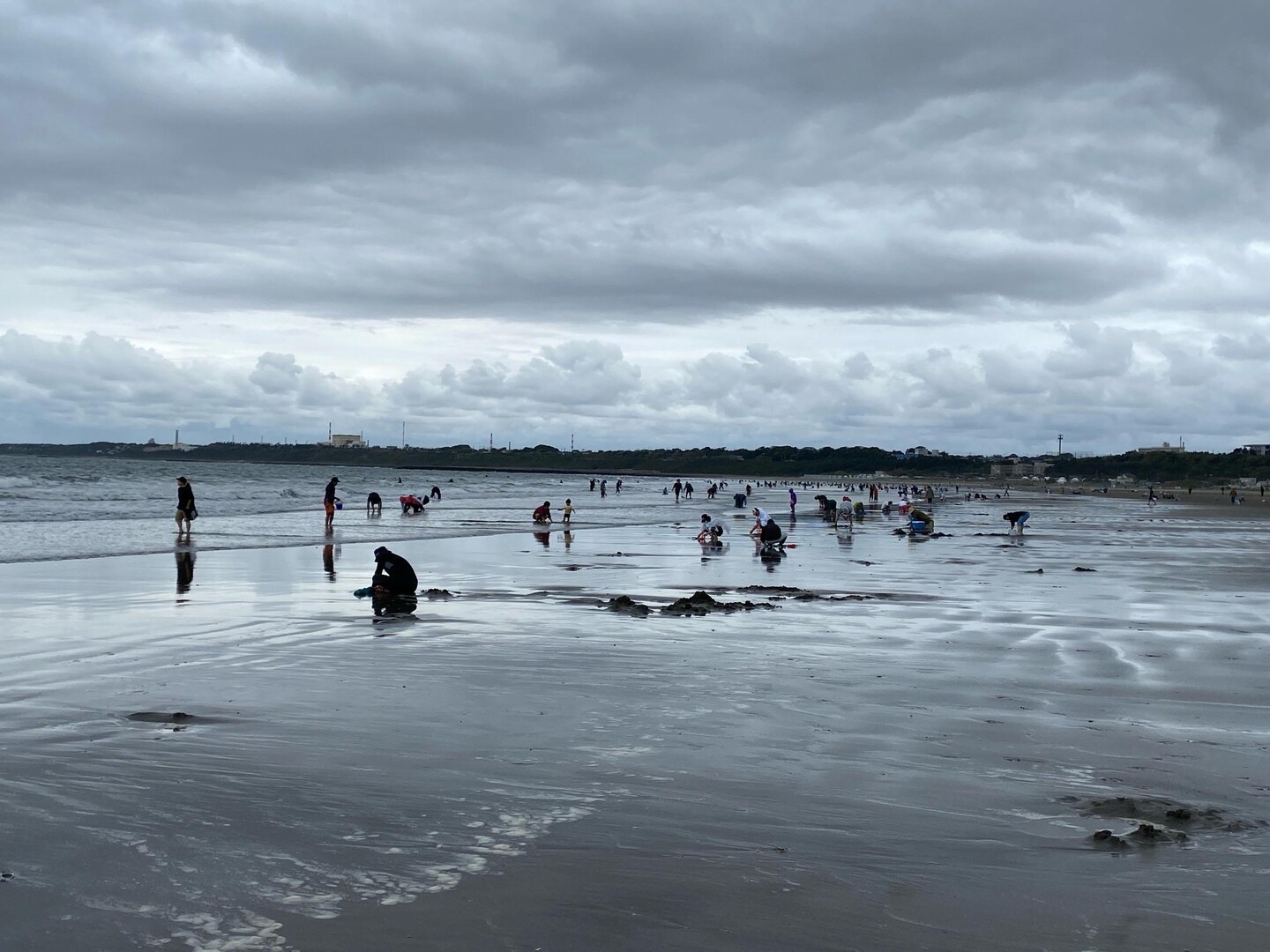 大洗ノルディック / Bull&Umiさんのウォーキングの活動データ | YAMAP / ヤマップ