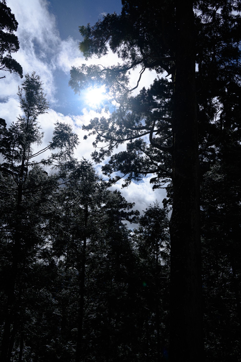 秋葉山に登りました https://y... / vlog_tottiyさんのモーメント | YAMAP / ヤマップ