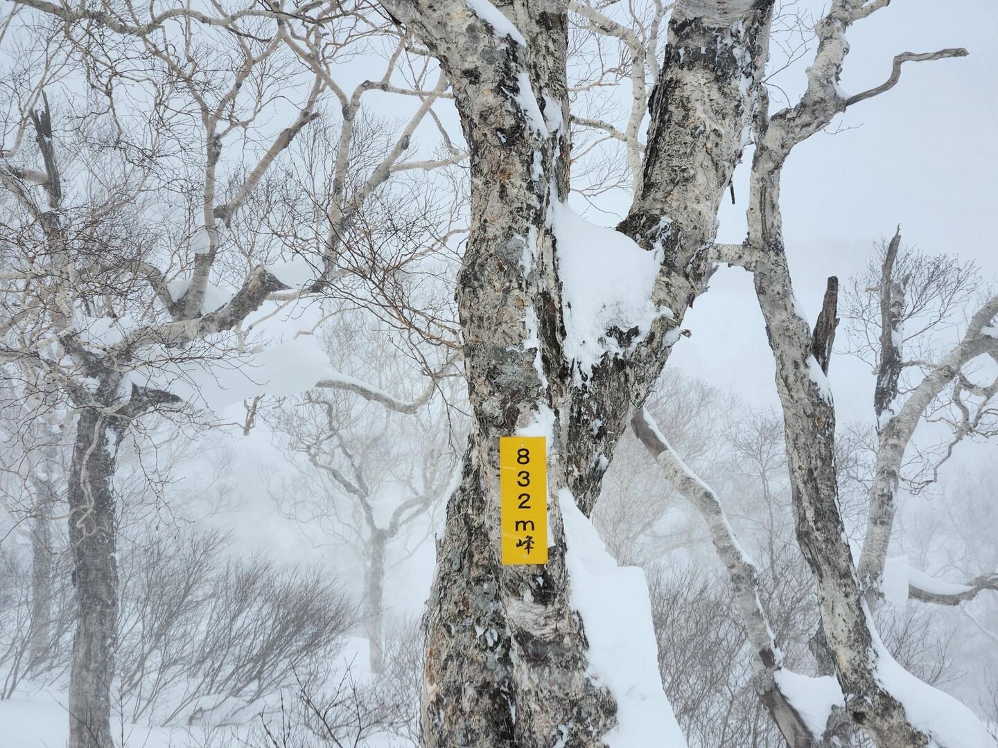 832m峰 / アンさんのニセコアンヌプリ・イワオヌプリ・チセヌプリの活動データ | YAMAP / ヤマップ