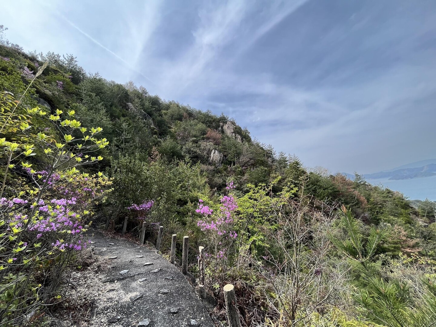 鷲ヶ頭山-2023-04-02 / issaさんの鷲ヶ頭山の活動データ | YAMAP / ヤマップ
