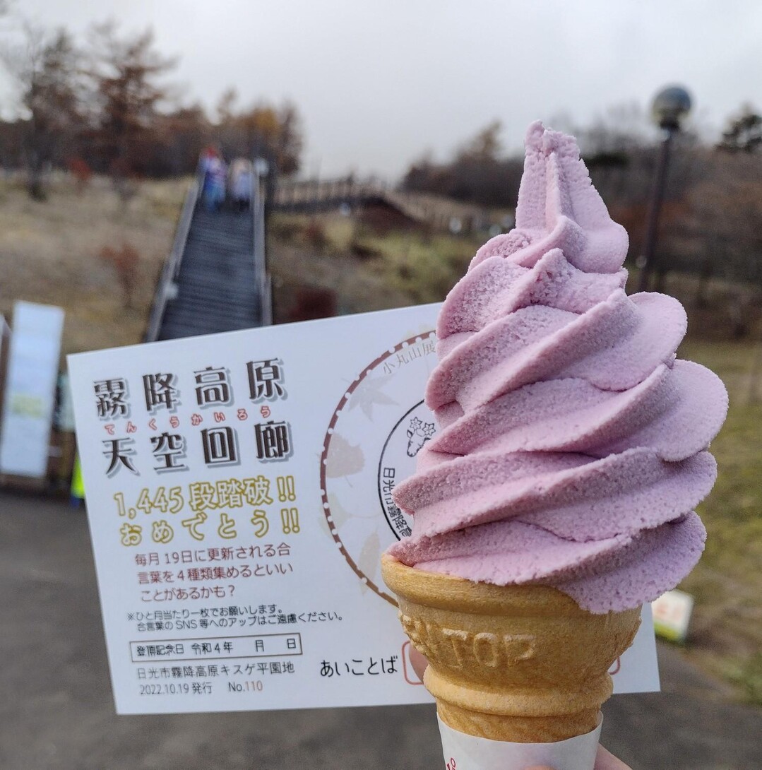 この日、なぜか? 山アイスは巨峰一択！ ... / Ru-Meさんのモーメント | YAMAP / ヤマップ