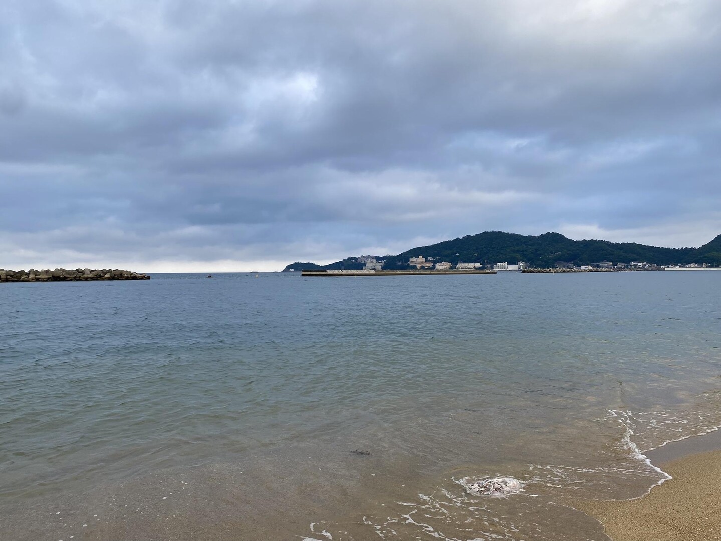 おはよう☁️エイタロウかな🙏 / かよママさんのモーメント | YAMAP / ヤマップ