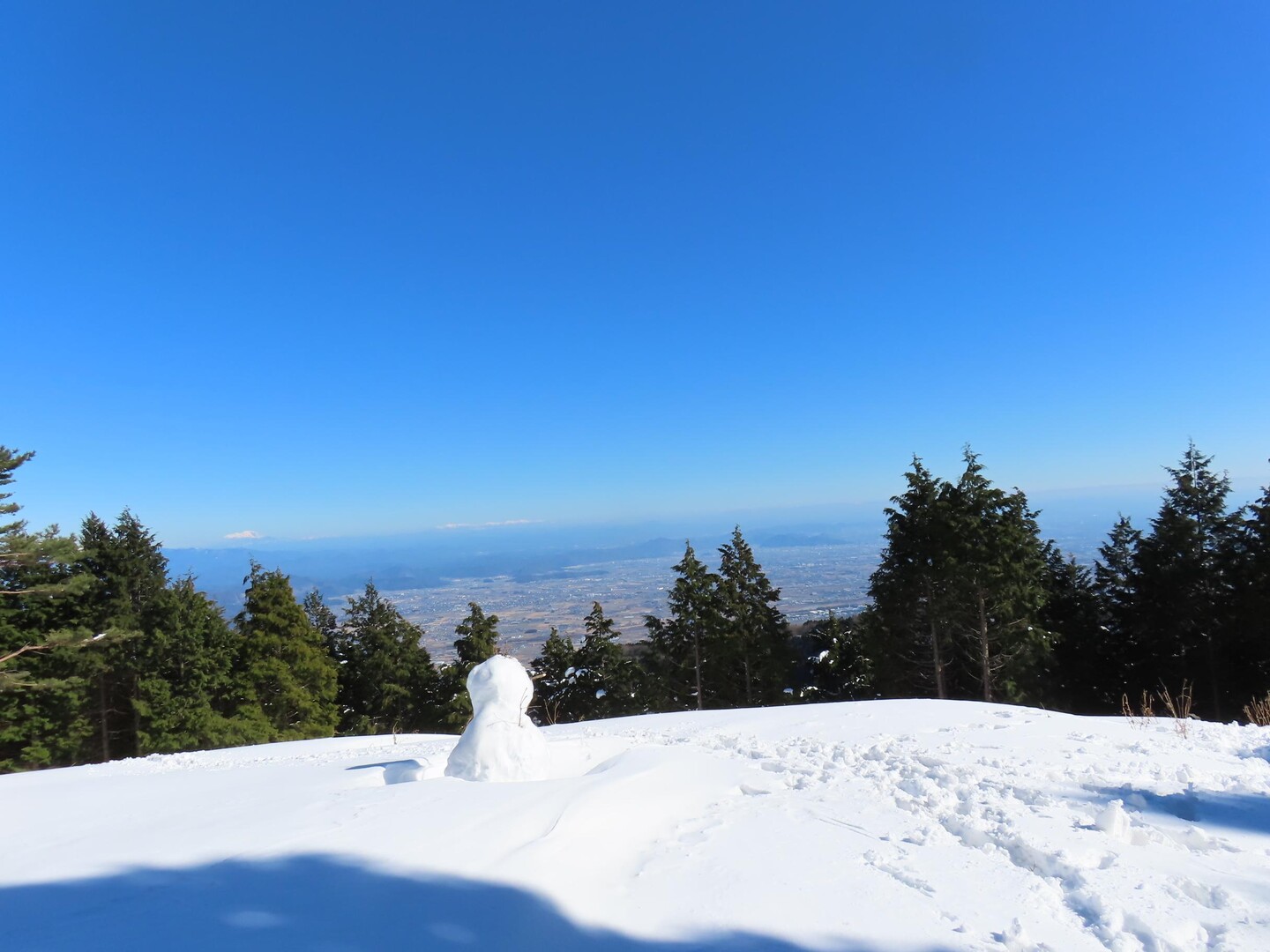 池田山 / ibizouさんの池田山の活動データ | YAMAP / ヤマップ
