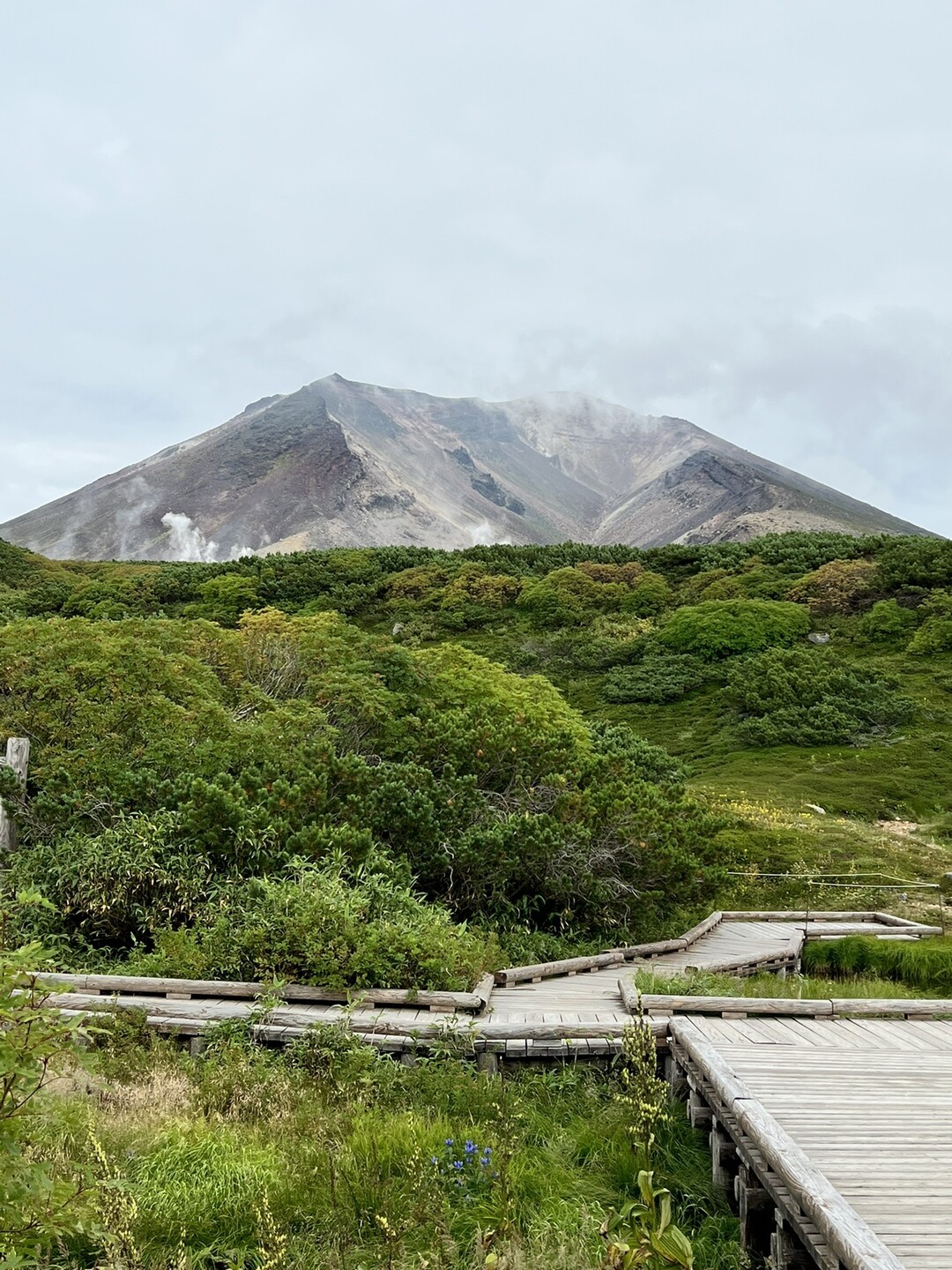 旭岳 / Nic_kgさんの大雪山系・旭岳・トムラウシの活動データ | YAMAP / ヤマップ
