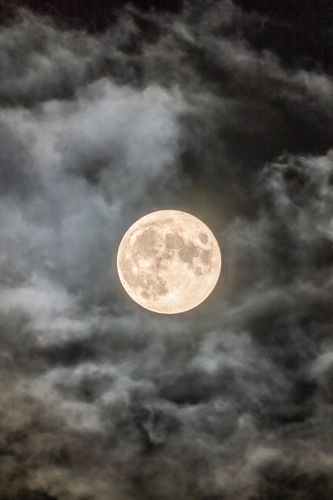 かっこいいすぎて / Corneさんのモーメント | YAMAP / ヤマップ