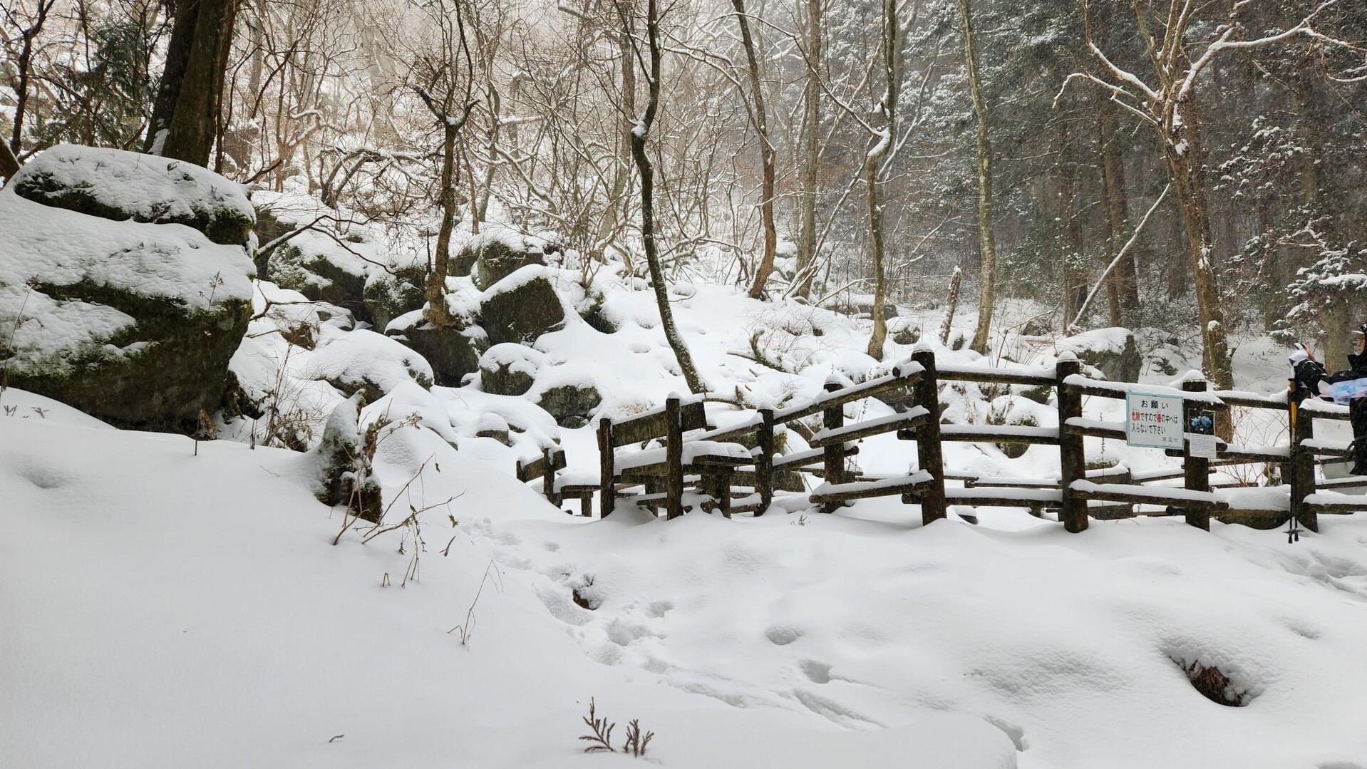 皿ヶ嶺 / gyamiさんの皿ヶ嶺・梅ヶ谷山・うなめごの活動データ | YAMAP / ヤマップ