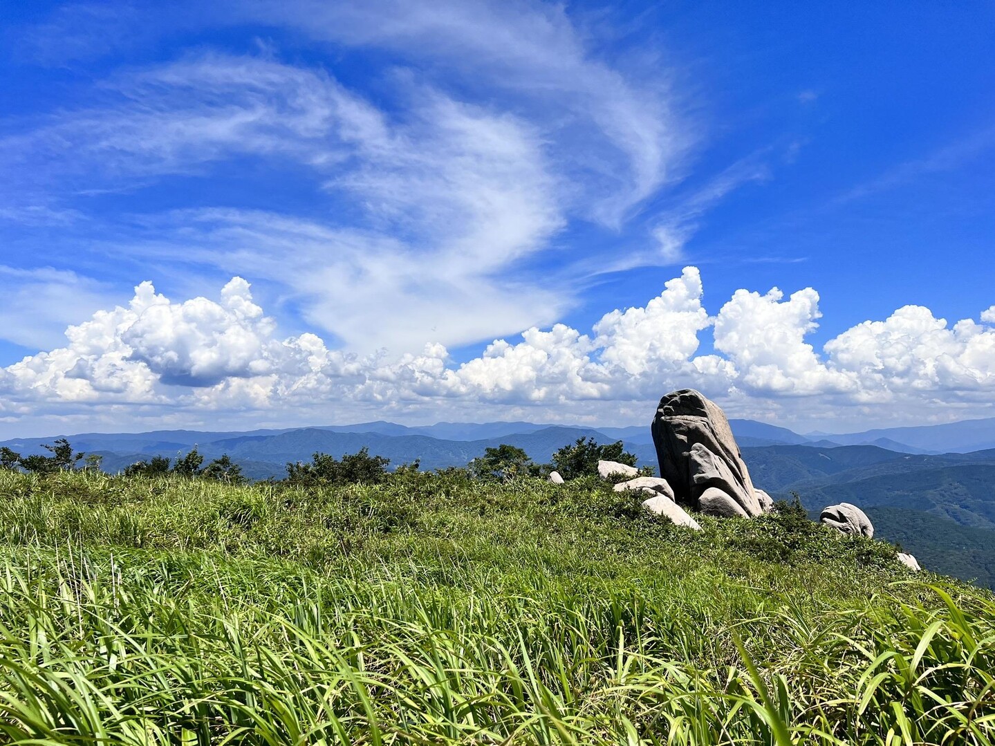 岩籠山 市橋登山口から / ma_han_mさんの岩籠山の活動日記 | YAMAP / ヤマップ