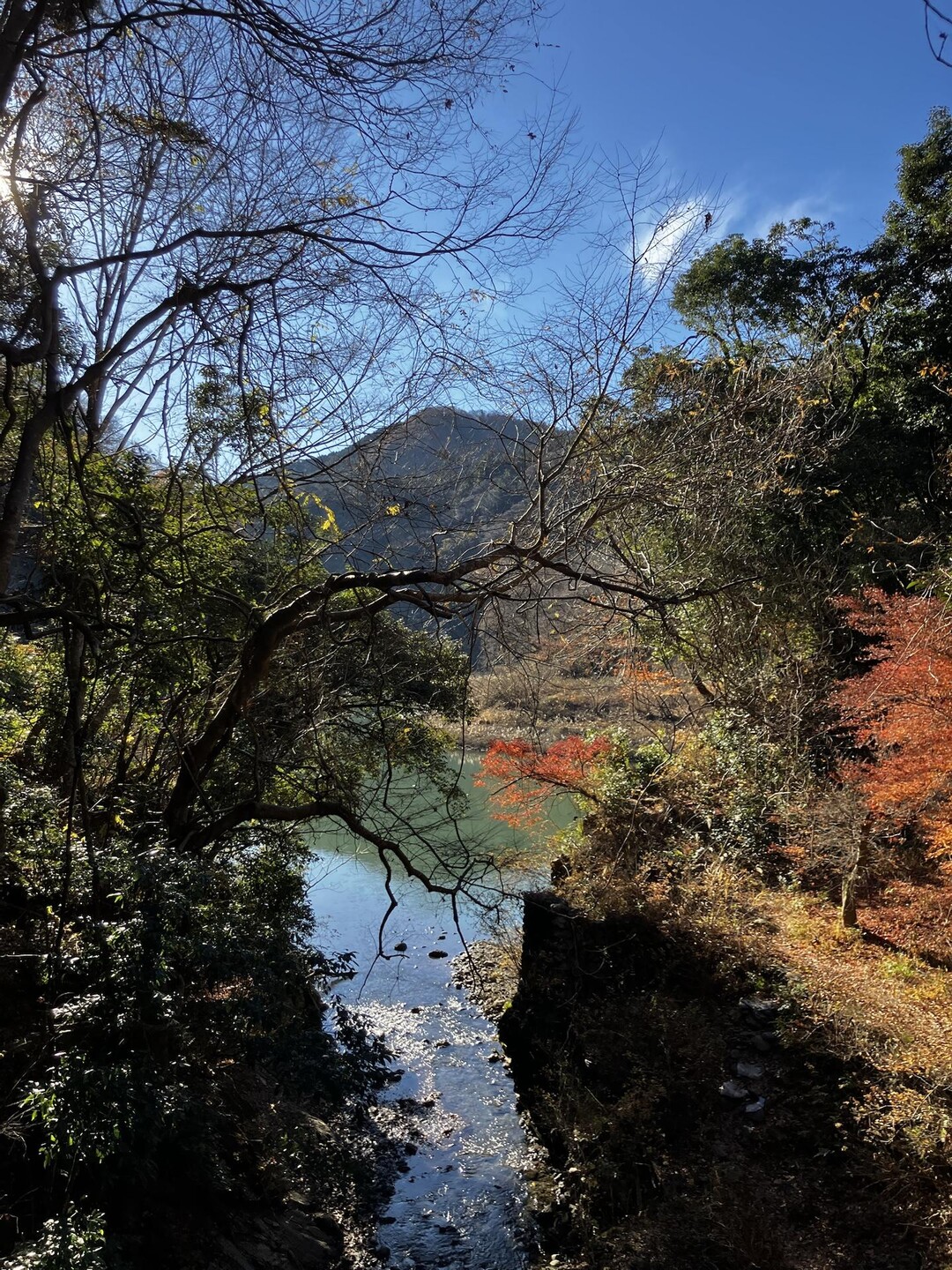峰尾山・城山（小仏城山）・高尾山 / Ally Rayeさんの高尾山・陣馬山・景信山の活動データ | YAMAP / ヤマップ
