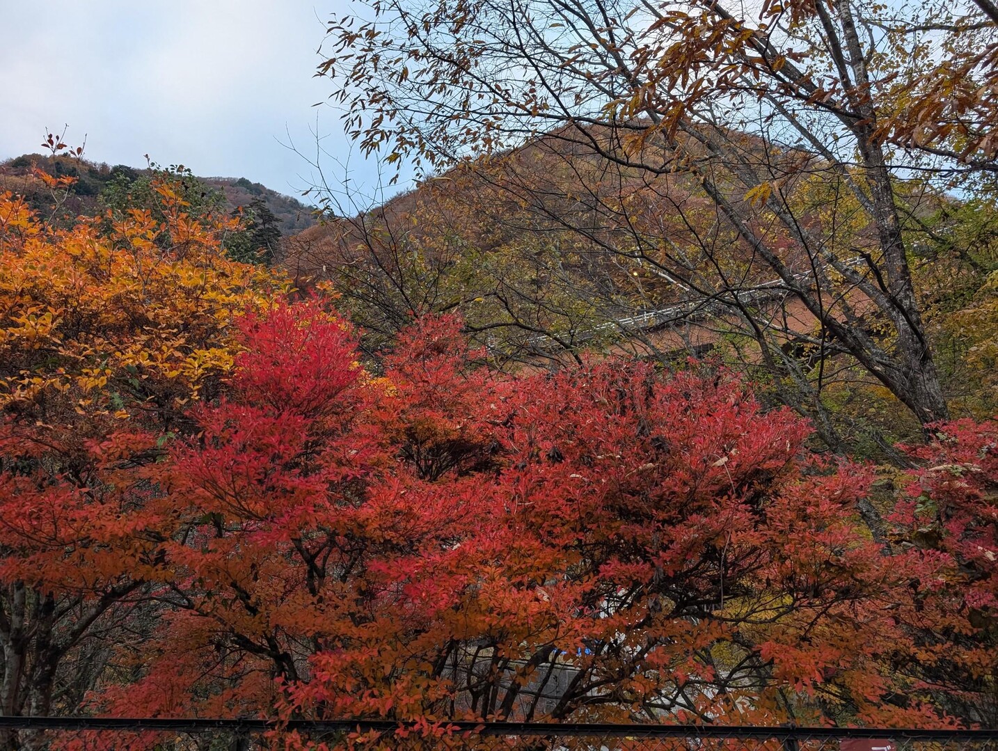 甲武信ヶ岳 / se-2さんの甲武信ヶ岳の活動データ | YAMAP / ヤマップ
