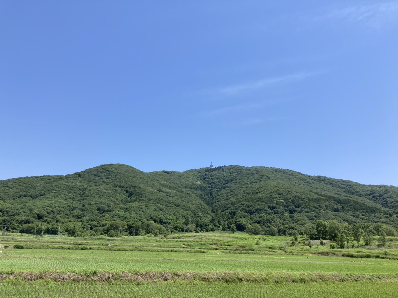 o-daijinのページ | YAMAP / ヤマップ