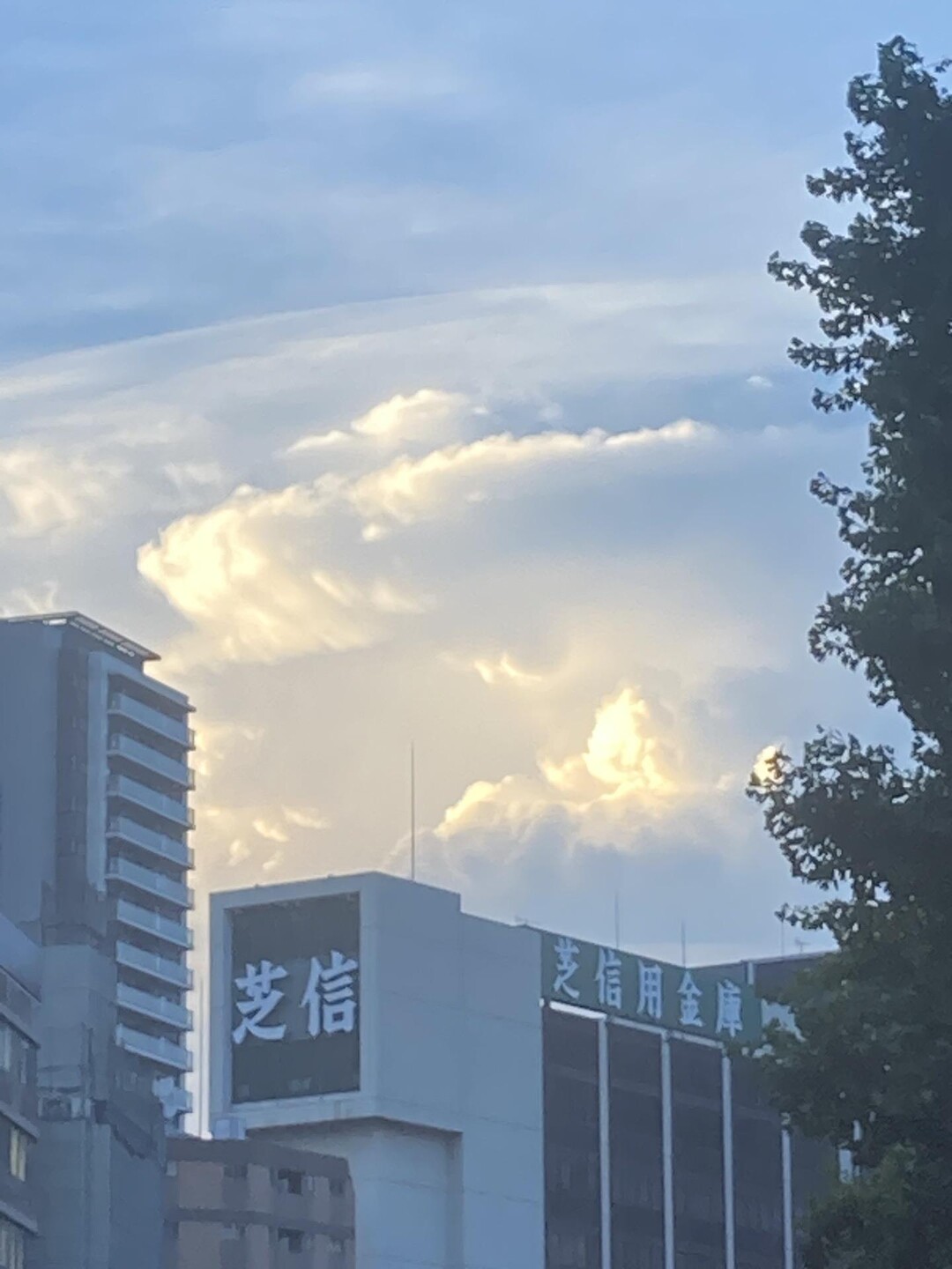 夕方7時、都心北の空。残照の輝きは神々し... / K.Sさんのモーメント | YAMAP / ヤマップ