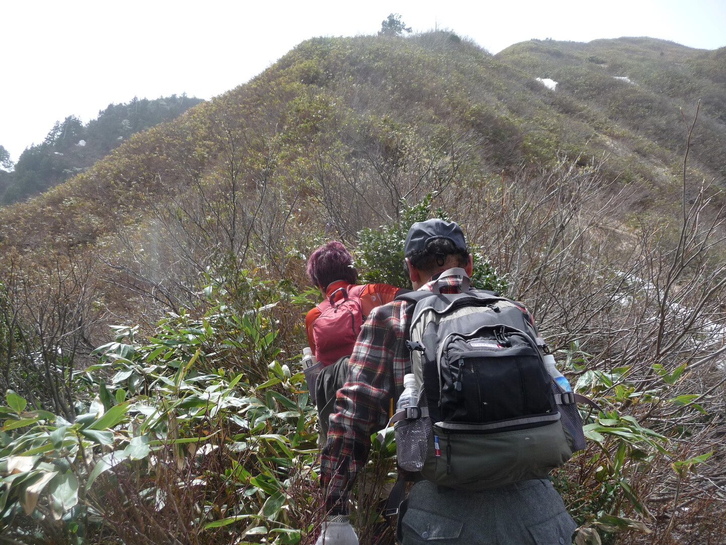 屏風山-2011-05-02 / ss43mさんの屏風山の活動データ | YAMAP / ヤマップ