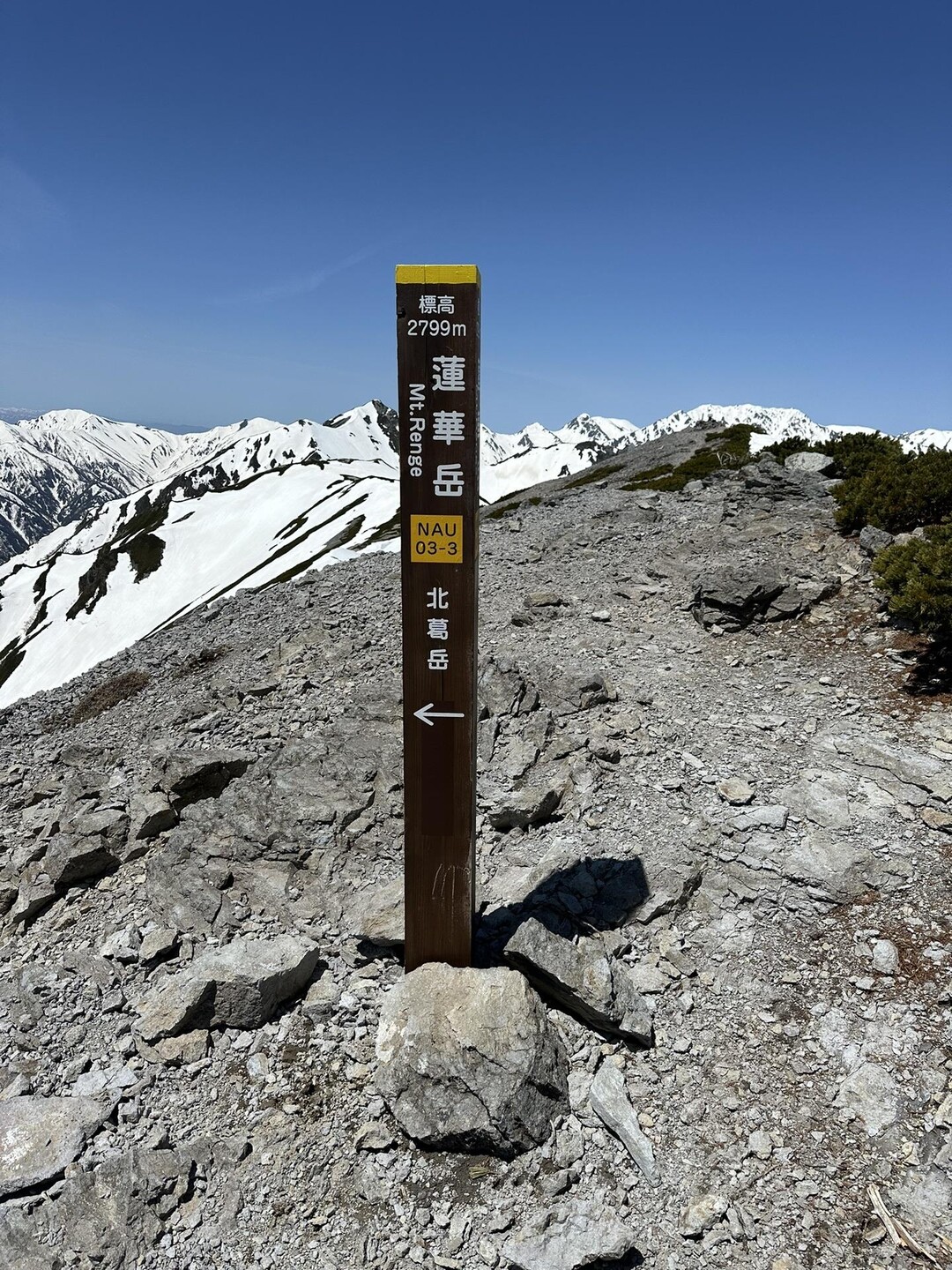 20240428_蓮華岳 / filtterkingさんの針ノ木岳・スバリ岳・船窪岳の活動データ | YAMAP / ヤマップ