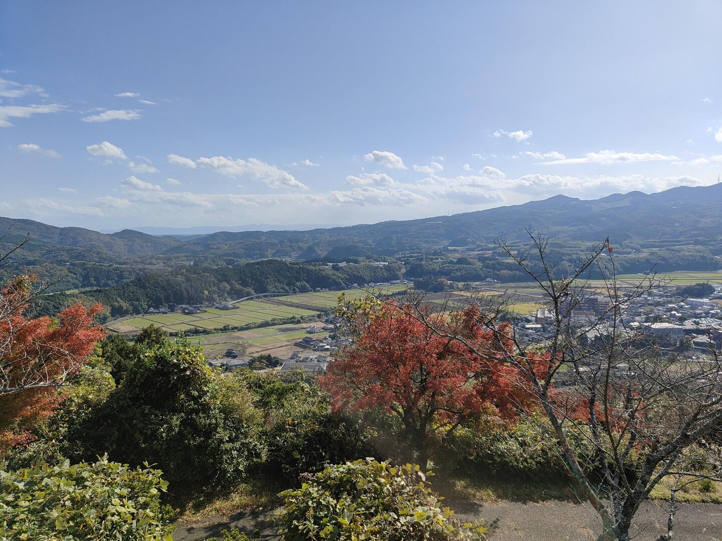 甲尾山 / Route 66さんの田原山（鋸山）の活動データ | YAMAP / ヤマップ