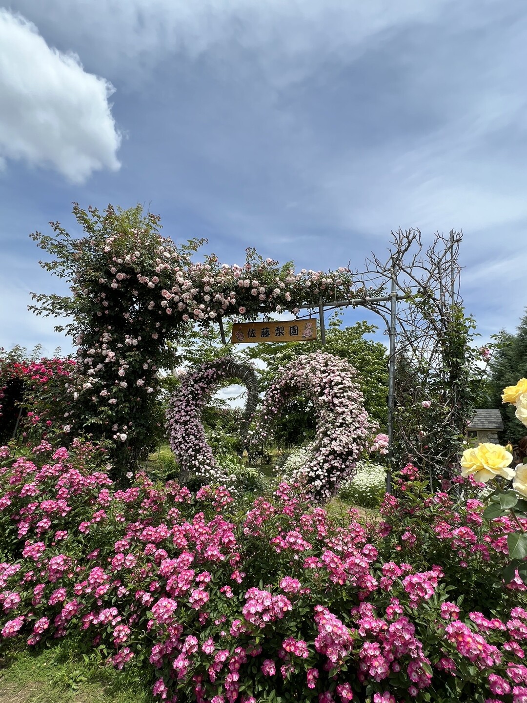 コロナが落ち着き、約2年半ぶりの友人と会... / ymatさんのモーメント | YAMAP / ヤマップ