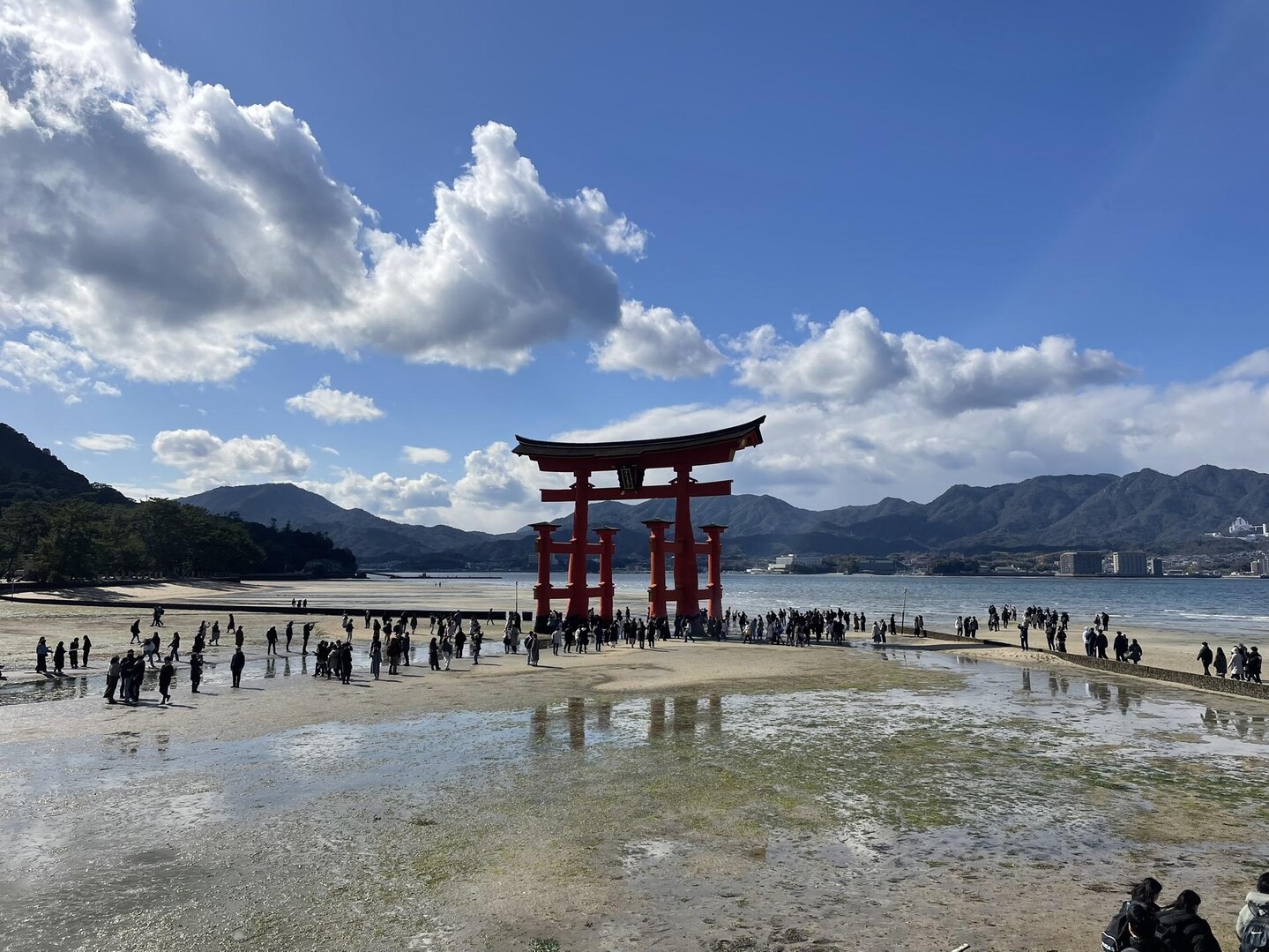 宮島観光🚡弥山 / moco🐾さんの宮島（厳島）・弥山の活動データ | YAMAP / ヤマップ