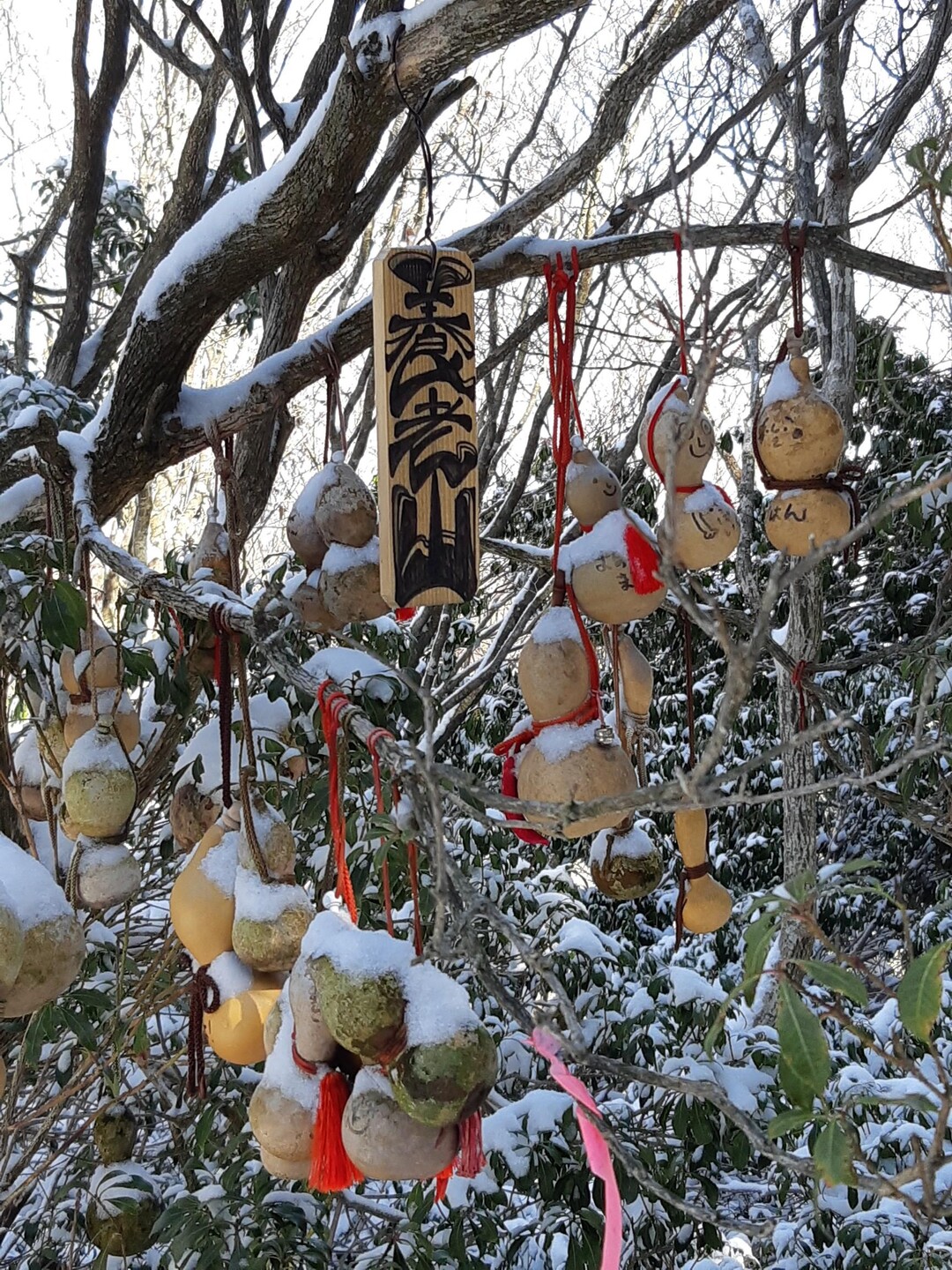 三方山・小倉山・養老山・北尾根P826峰 / あいみさんの養老山・笙ヶ岳・三方山の活動データ | YAMAP / ヤマップ