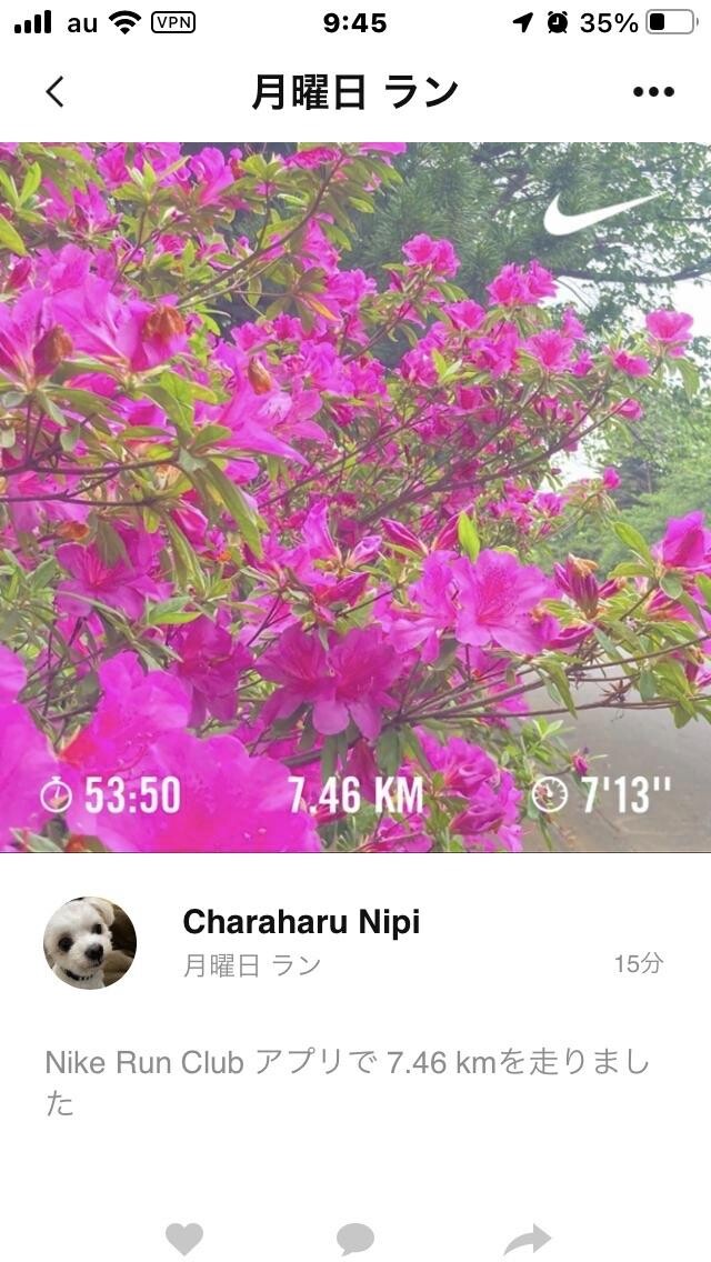 5月に入って1回目のラン！ 1キロ7分台... / sadaさんのモーメント | YAMAP / ヤマップ