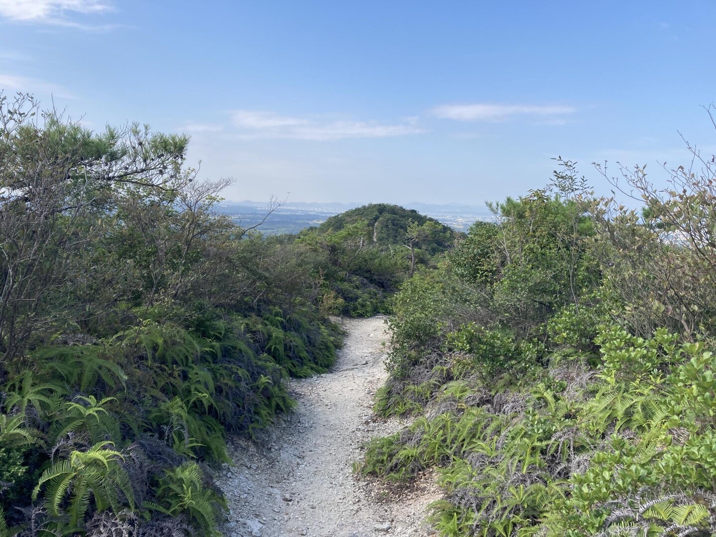 三草山・天狗岩 / mo！さんの三草山の活動データ | YAMAP / ヤマップ