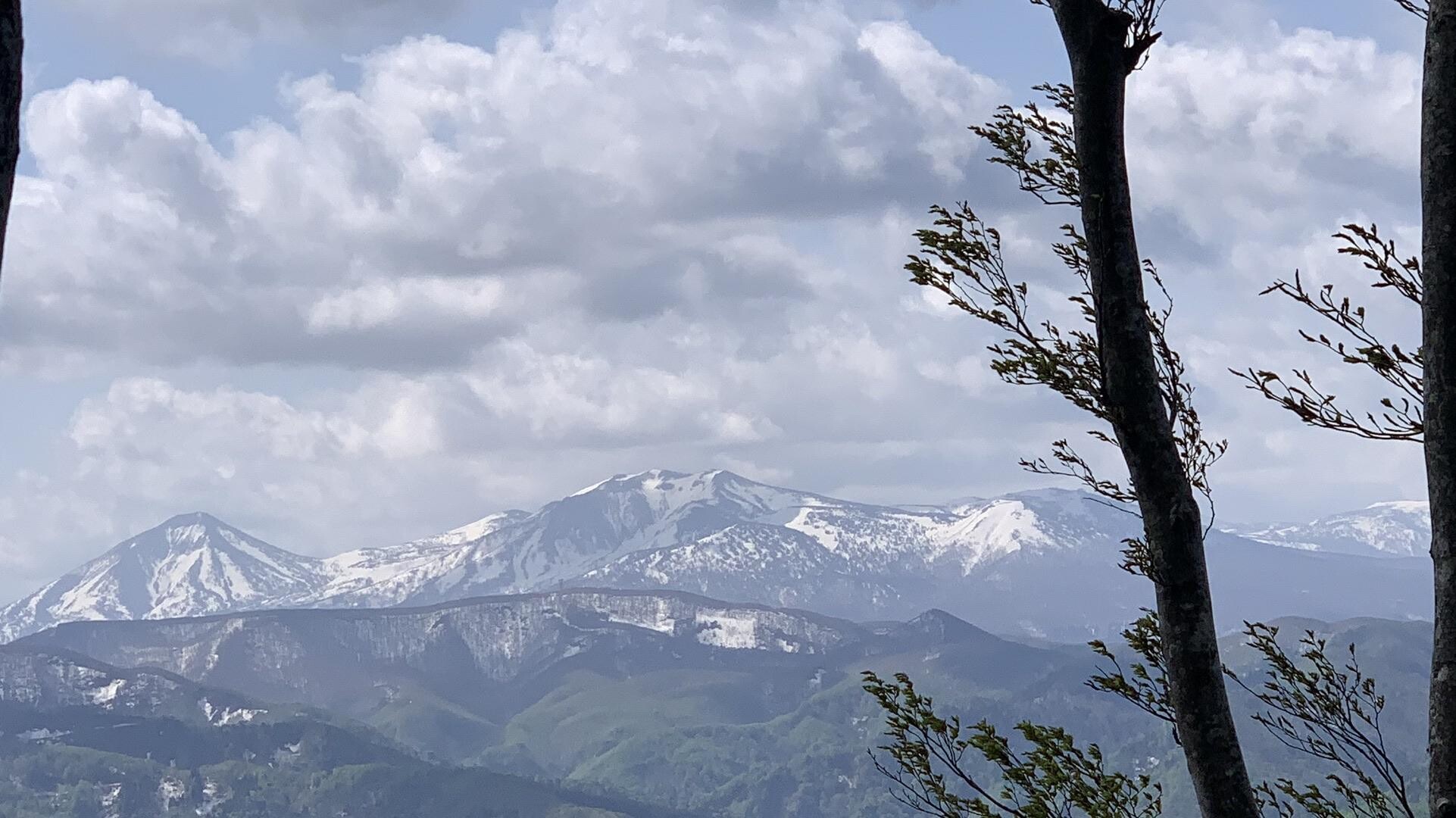 東岳トレイルラン🏃 / NKひなちゃんさんの東岳の活動データ | YAMAP / ヤマップ