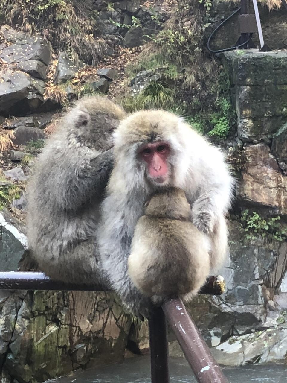 Shinのページ | YAMAP / ヤマップ