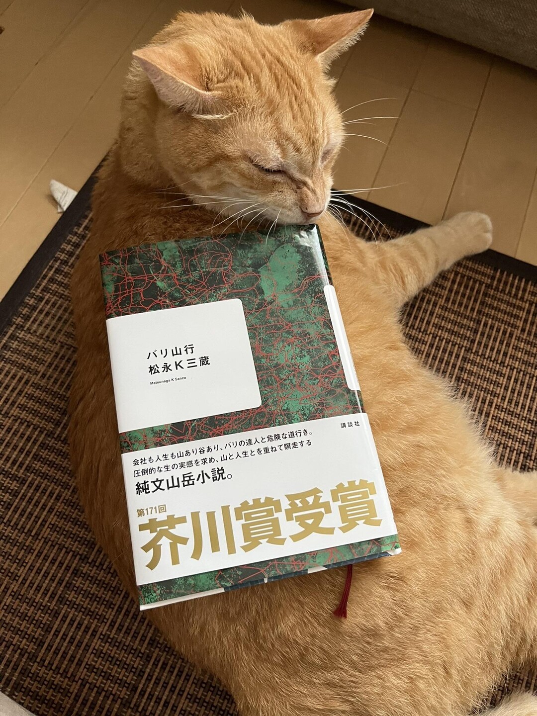 山友さんから教えていただいた『バリ山行』... / taeさんのモーメント | YAMAP / ヤマップ