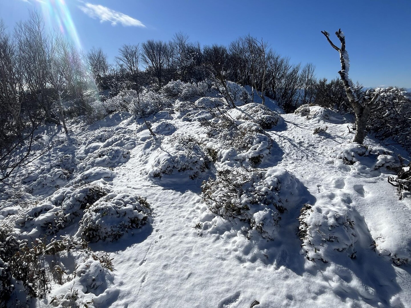 赤城山 / so!yo!さんの赤城山・黒檜山・荒山の活動データ | YAMAP / ヤマップ