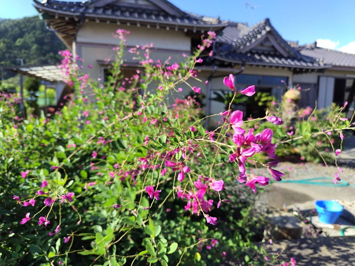 ウォーキング-千倉町 / ykさんの高塚山の活動データ | YAMAP / ヤマップ