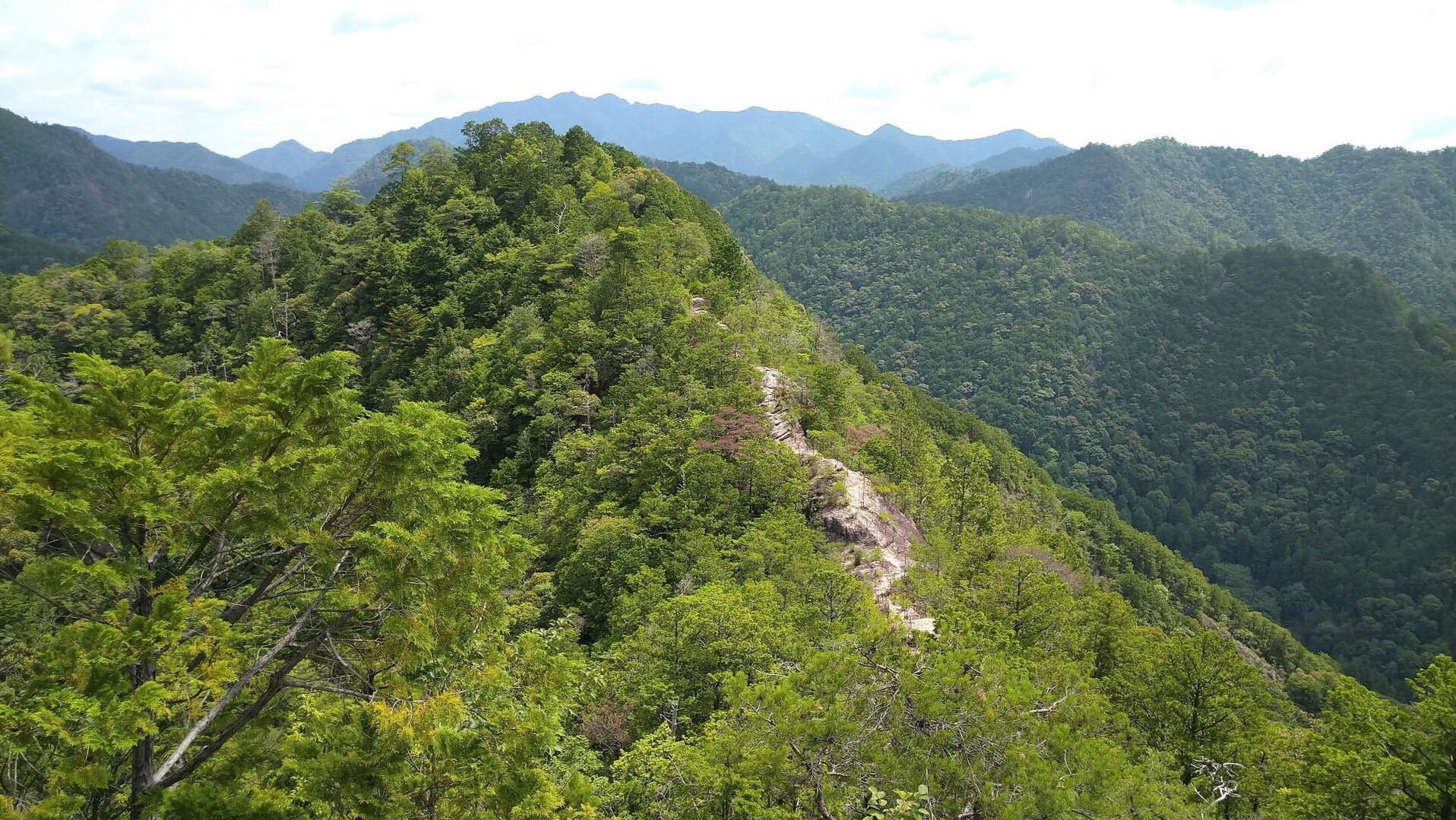 宇連山 / TOMさんの宇連山・鳳来寺山・岩古谷山の活動日記 | YAMAP / ヤマップ