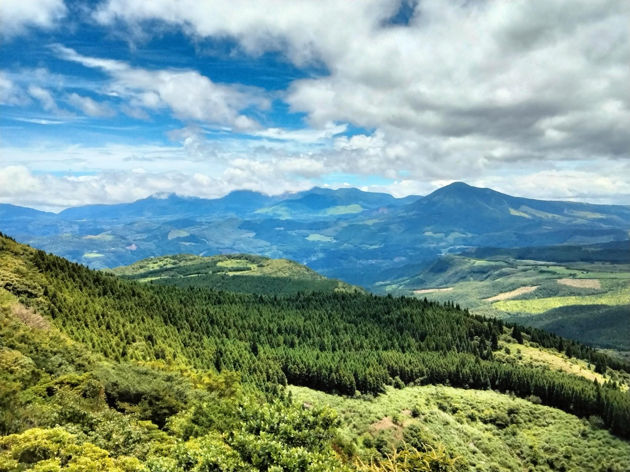 西万年・万年山 / cocoさんの万年山・伐株山の活動データ | YAMAP / ヤマップ