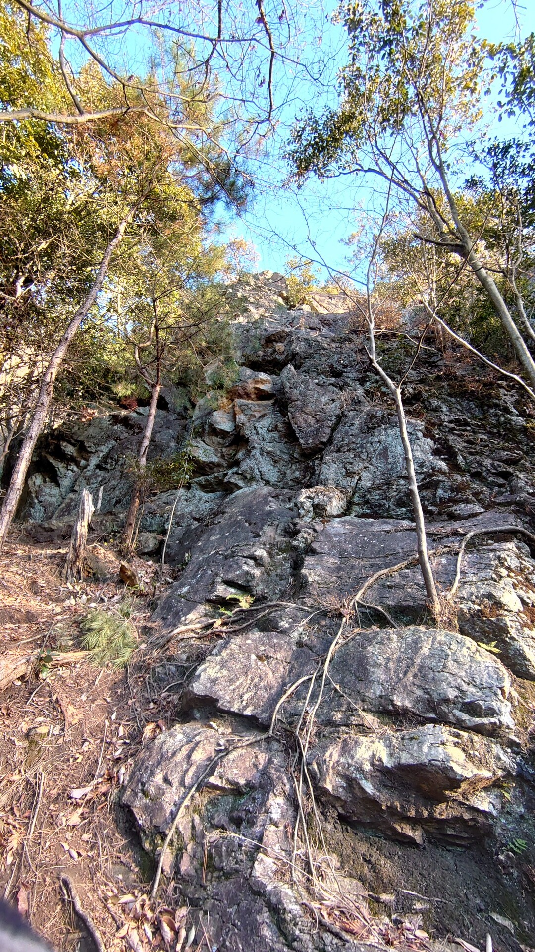 【過去ログ】古賀志山岩巡り～カモシカ・滝・ツル編（G2クエスト⭐︎10 マルチ） / 破裂の銀行（休息中）さんの古賀志山・赤岩山・鞍掛山・男抱 ...